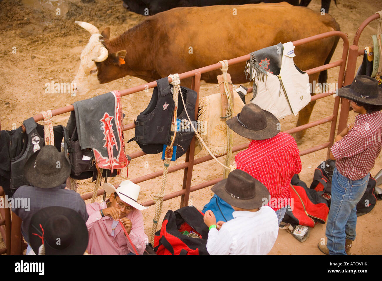 young riders prepare for the Bull Riding event All Indian Rodeo Gallup ...