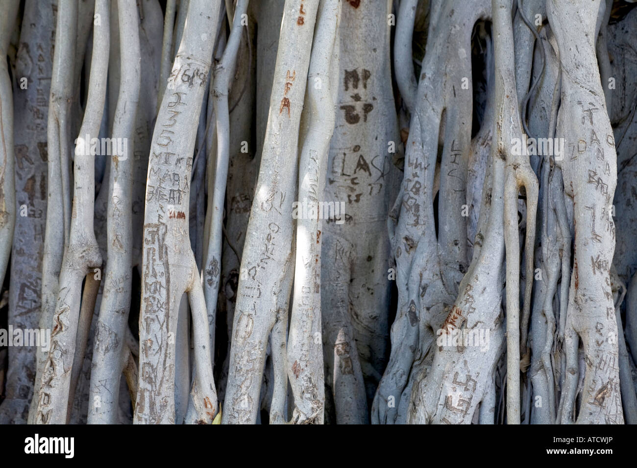 Carved names hi-res stock photography and images - Alamy
