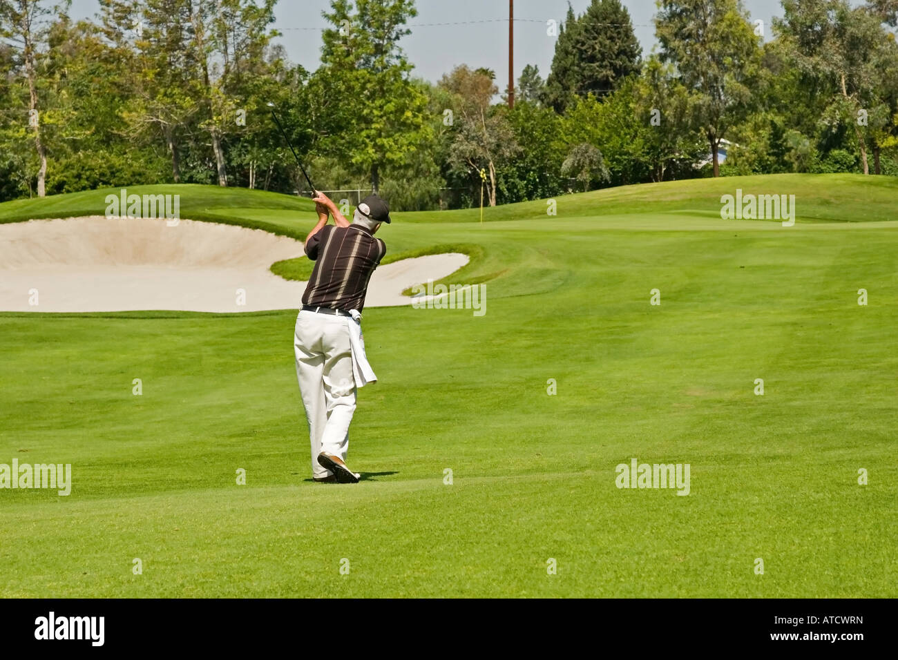 Golf course action and players hitting the greens Stock Photo - Alamy