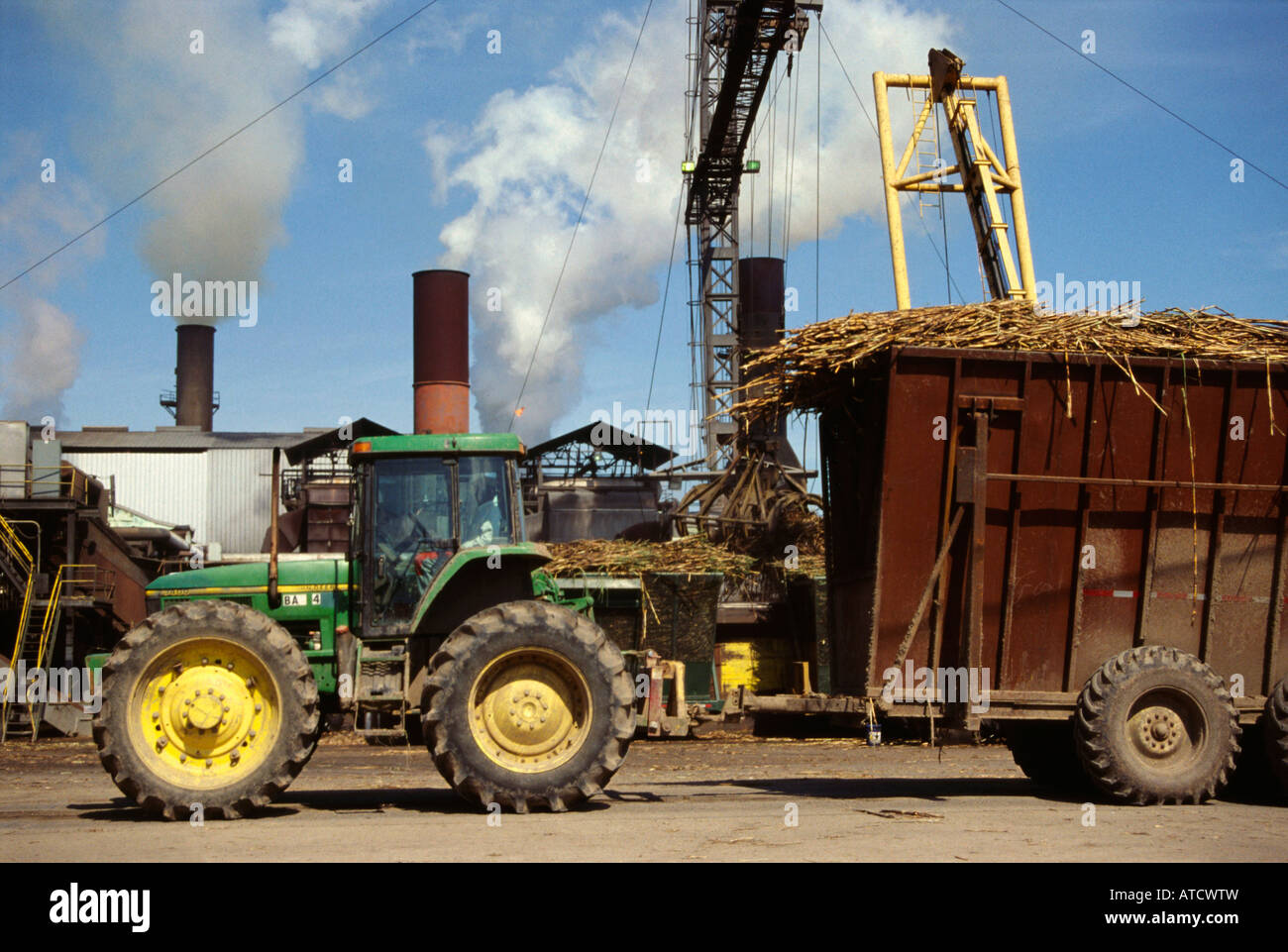 Sugarcane Production High Resolution Stock Photography and Images - Alamy