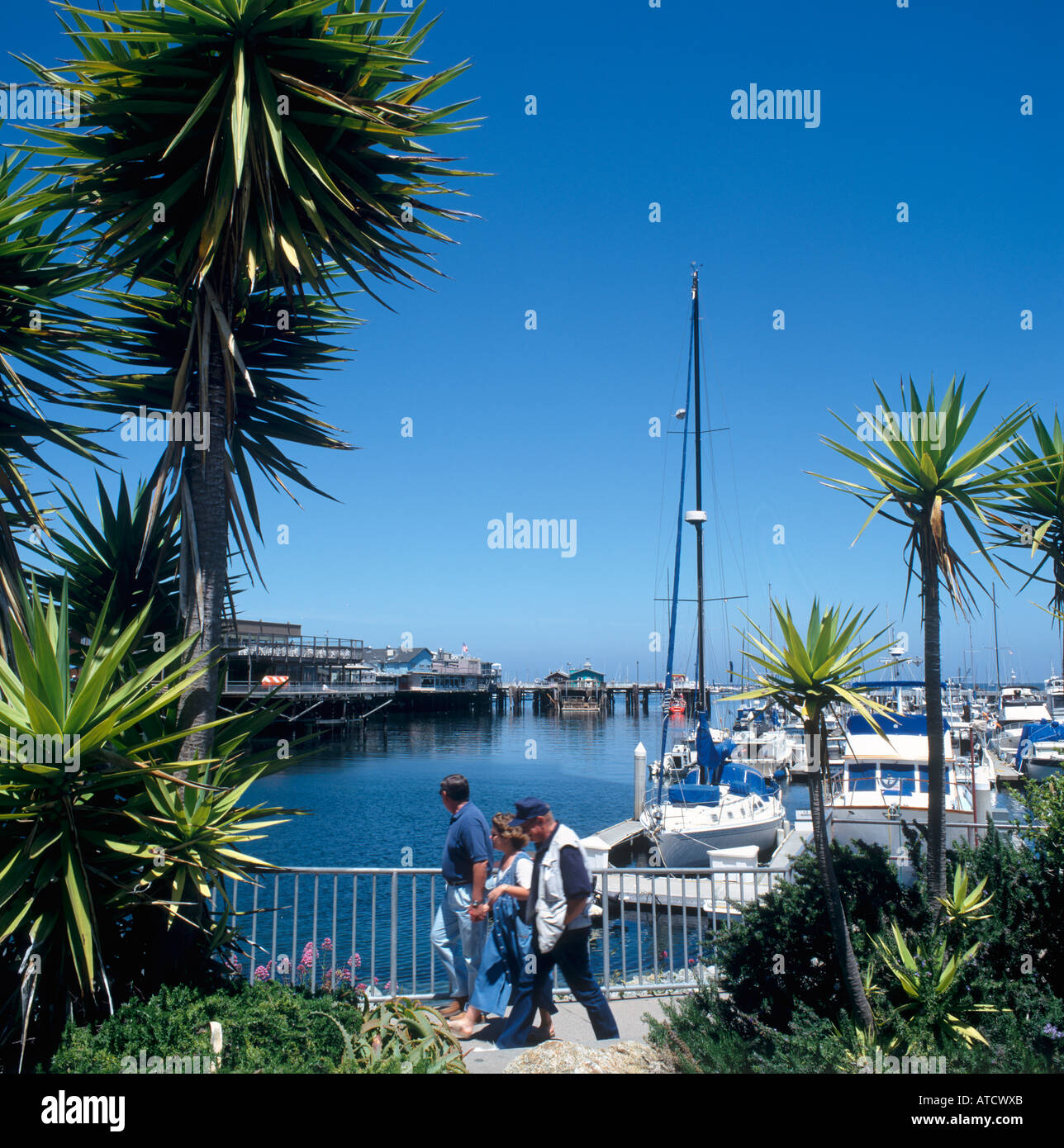 Monterrey wharf hi-res stock photography and images - Alamy