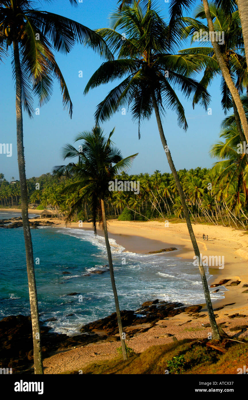 Tangalla Beach Sri Lanka tree palm sea sand Island Stock Photo - Alamy