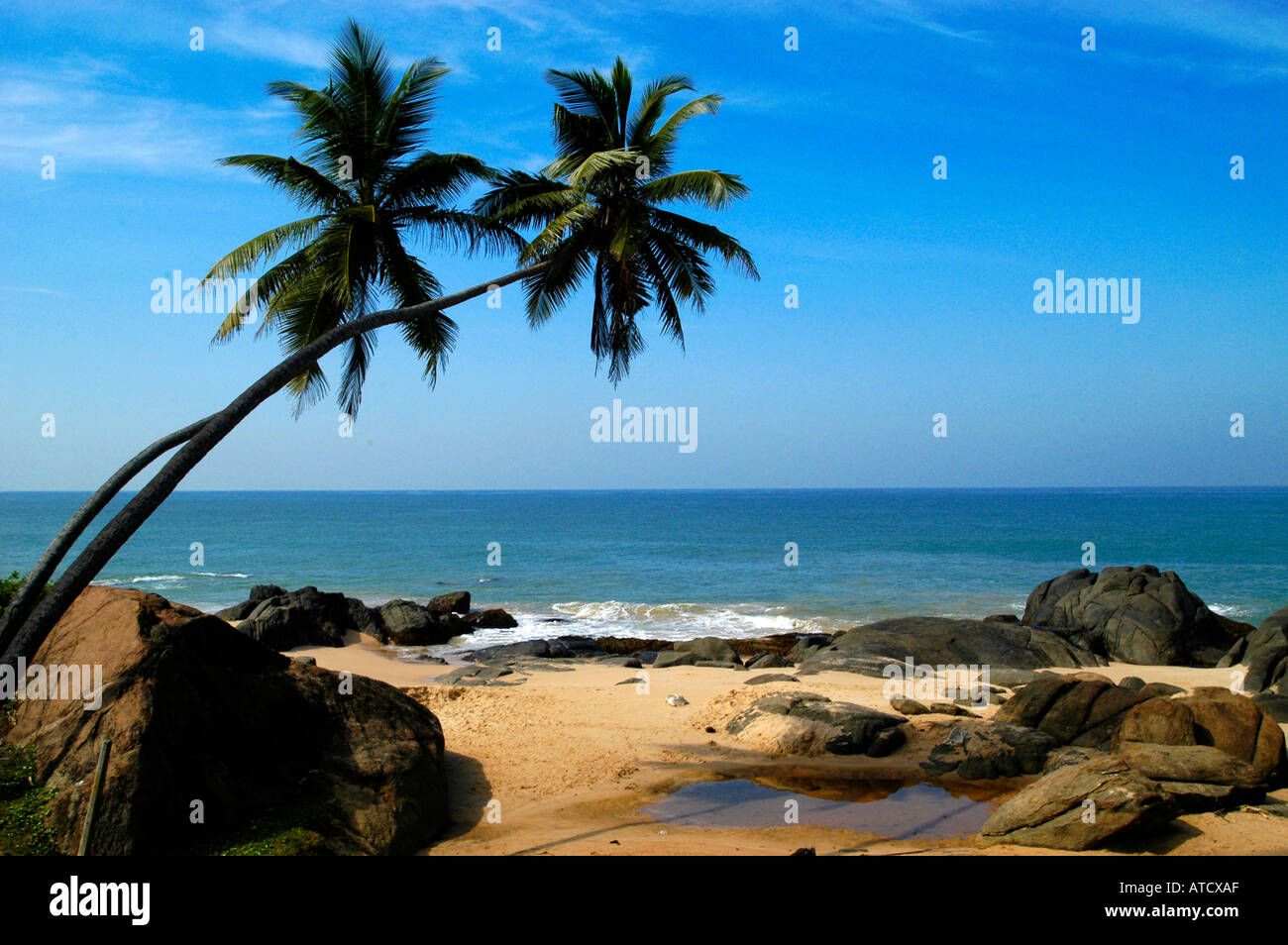 tangalla Beach Ceylon Sri Lanka tree palm sea sand Island Stock Photo ...