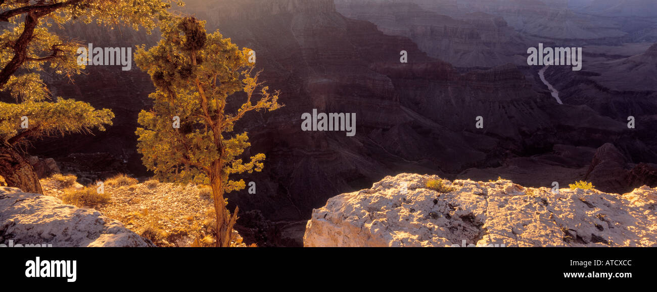 Looking down in grand canyon hi-res stock photography and images - Alamy