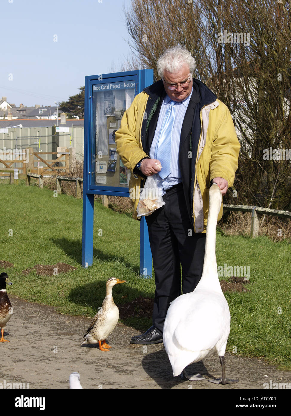 Smart ducks hi-res stock photography and images - Alamy