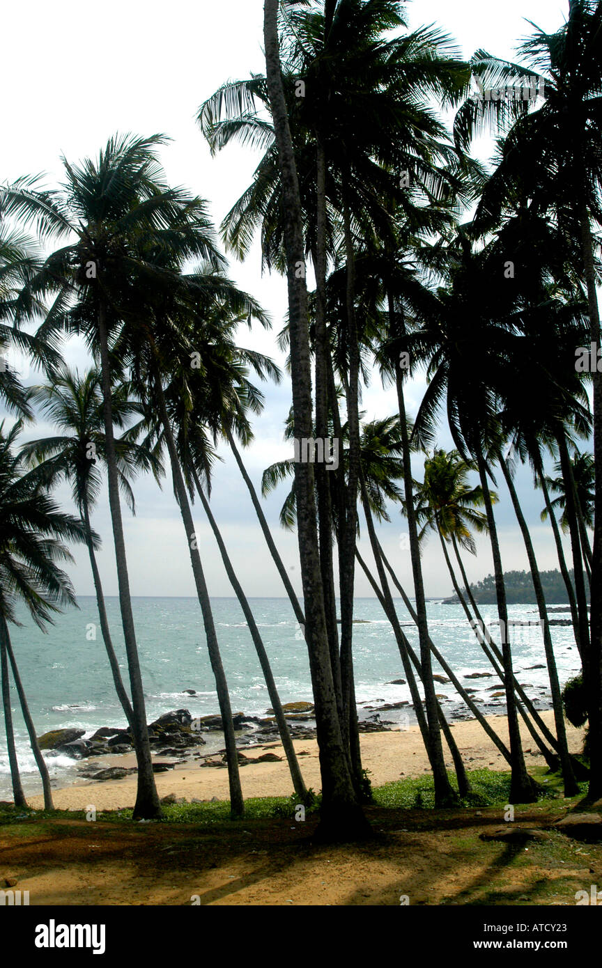 Beach Ceylon Sri Lanka Island Asian Asians oriental Orient tropical ...