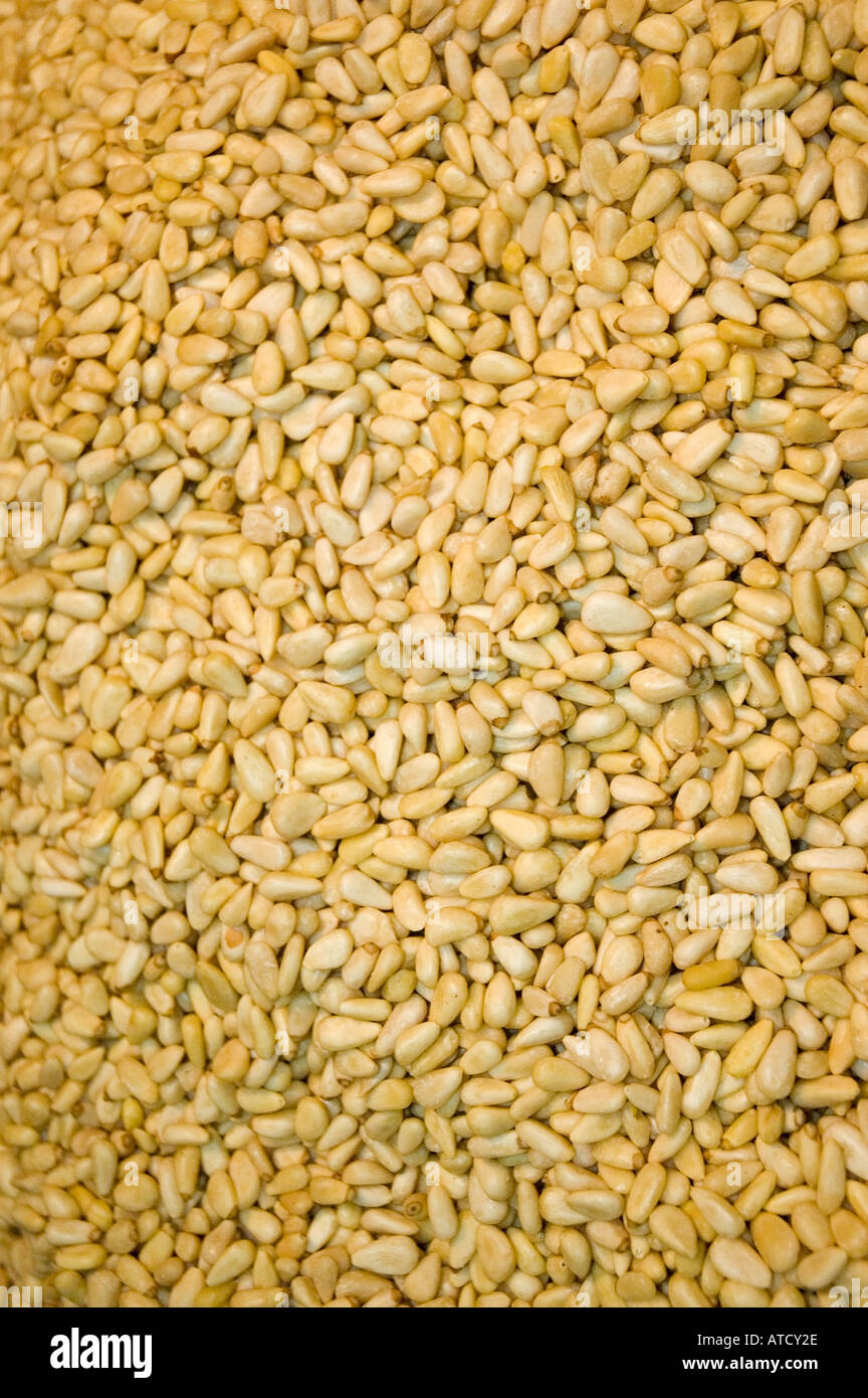 Close up photo of Pine nuts, seeds, kernels, Pinus, Souk az-Zarb, old ...