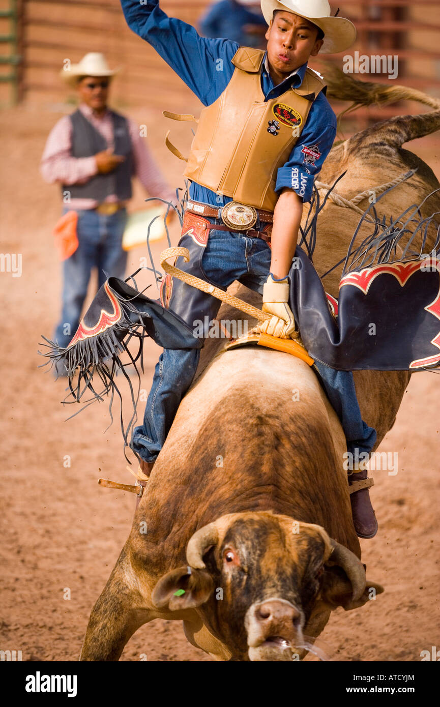 young riders compete in the Bull Riding event All Indian Rodeo Gallup ...