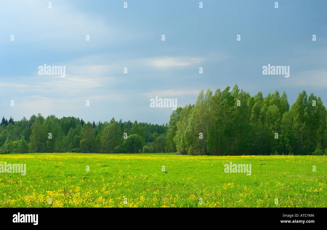 Landscape trees blue sky nature green grass hi-res stock photography ...