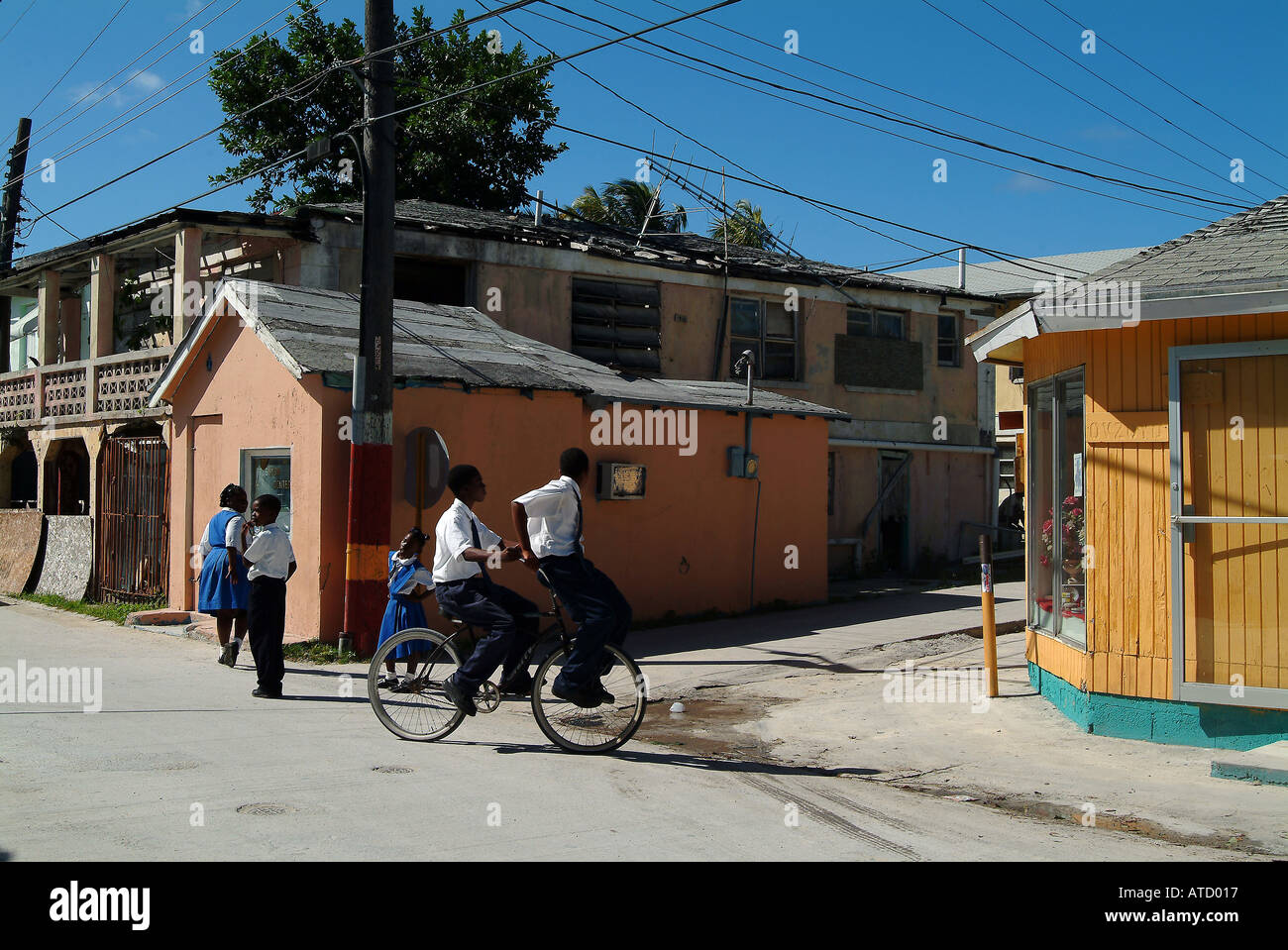 Colorful houses in a village of Bimini Island, Bahamas Stock Photo - Alamy