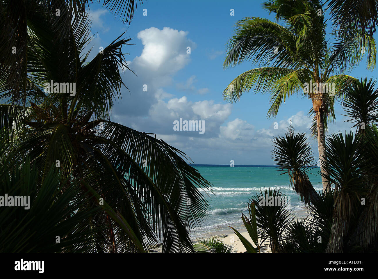 Bimini beach hi-res stock photography and images - Alamy