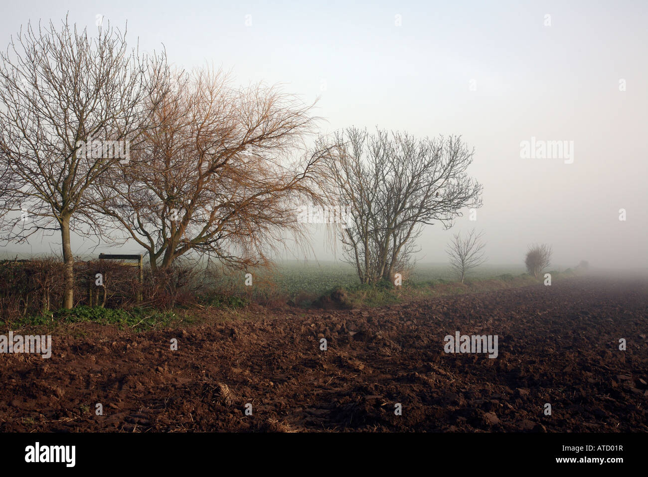 Mist shrouded landscapes hi-res stock photography and images - Alamy