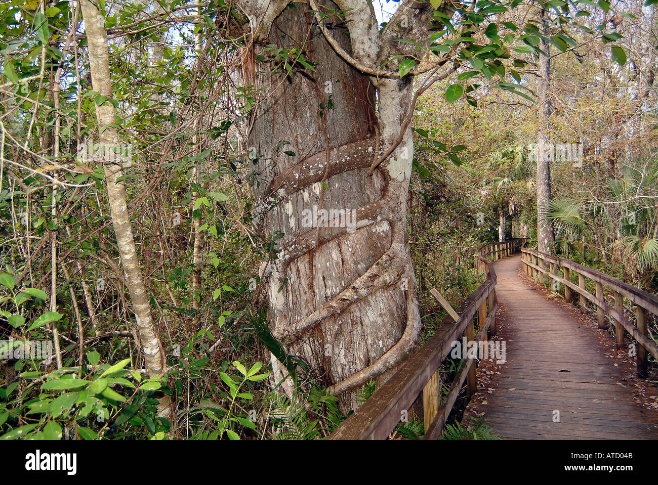 Wood crossing hi-res stock photography and images - Alamy