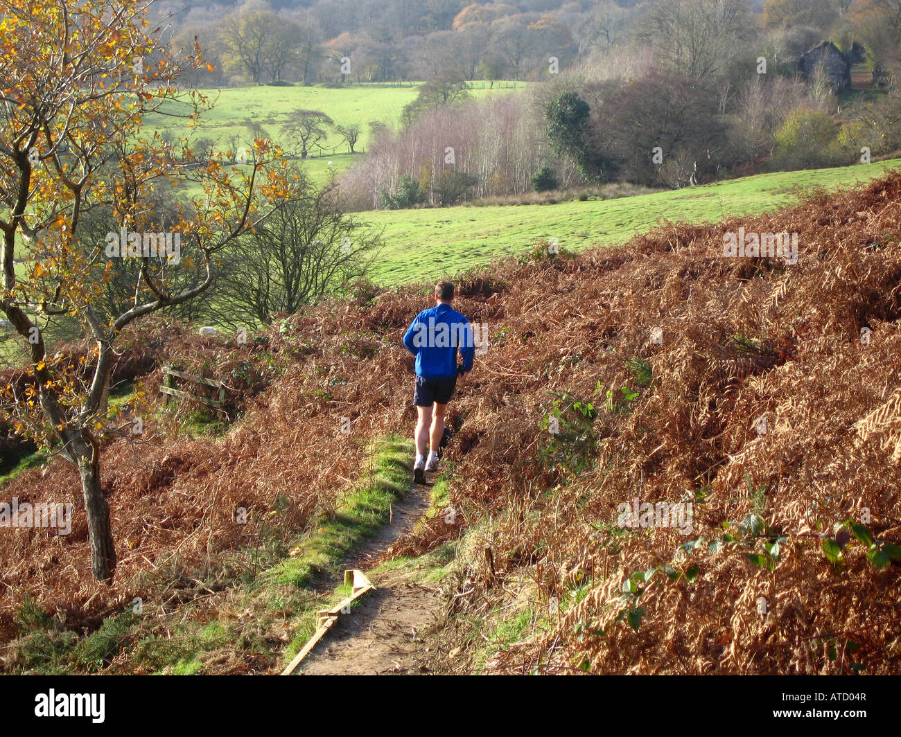 Cardiff runner hi-res stock photography and images - Alamy