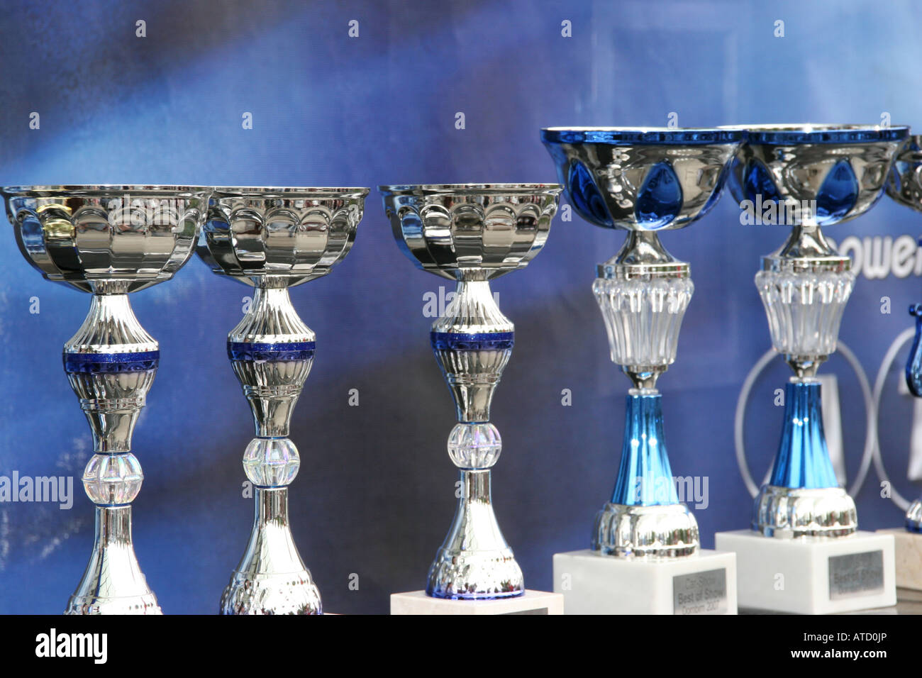 lined up cups Stock Photo - Alamy