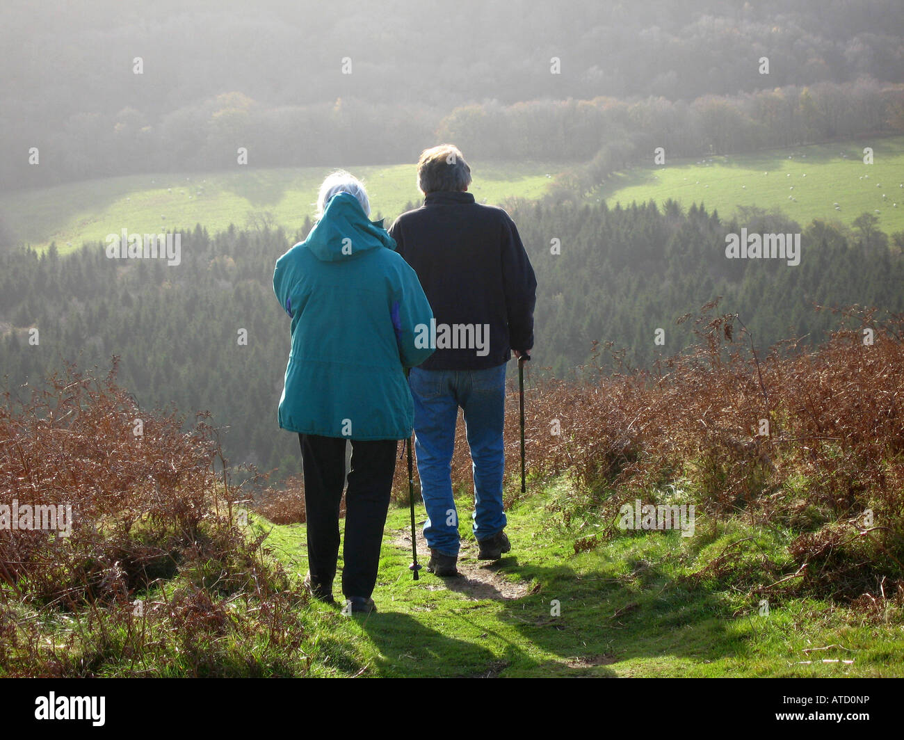 The garth cardiff hi-res stock photography and images - Alamy