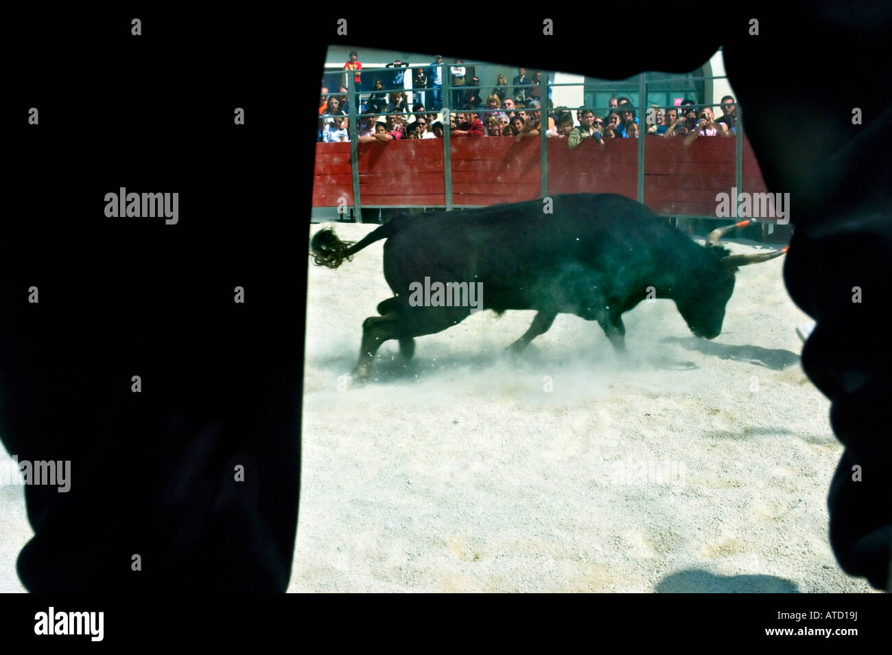 Arles France, French Traditional Carmaque Bullfighting Ceremony Feria ...