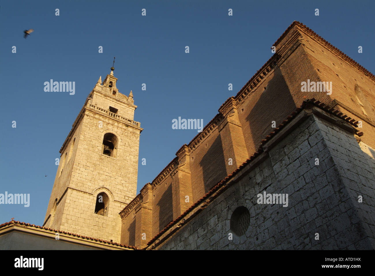 Tratado tordesillas hi-res stock photography and images - Alamy