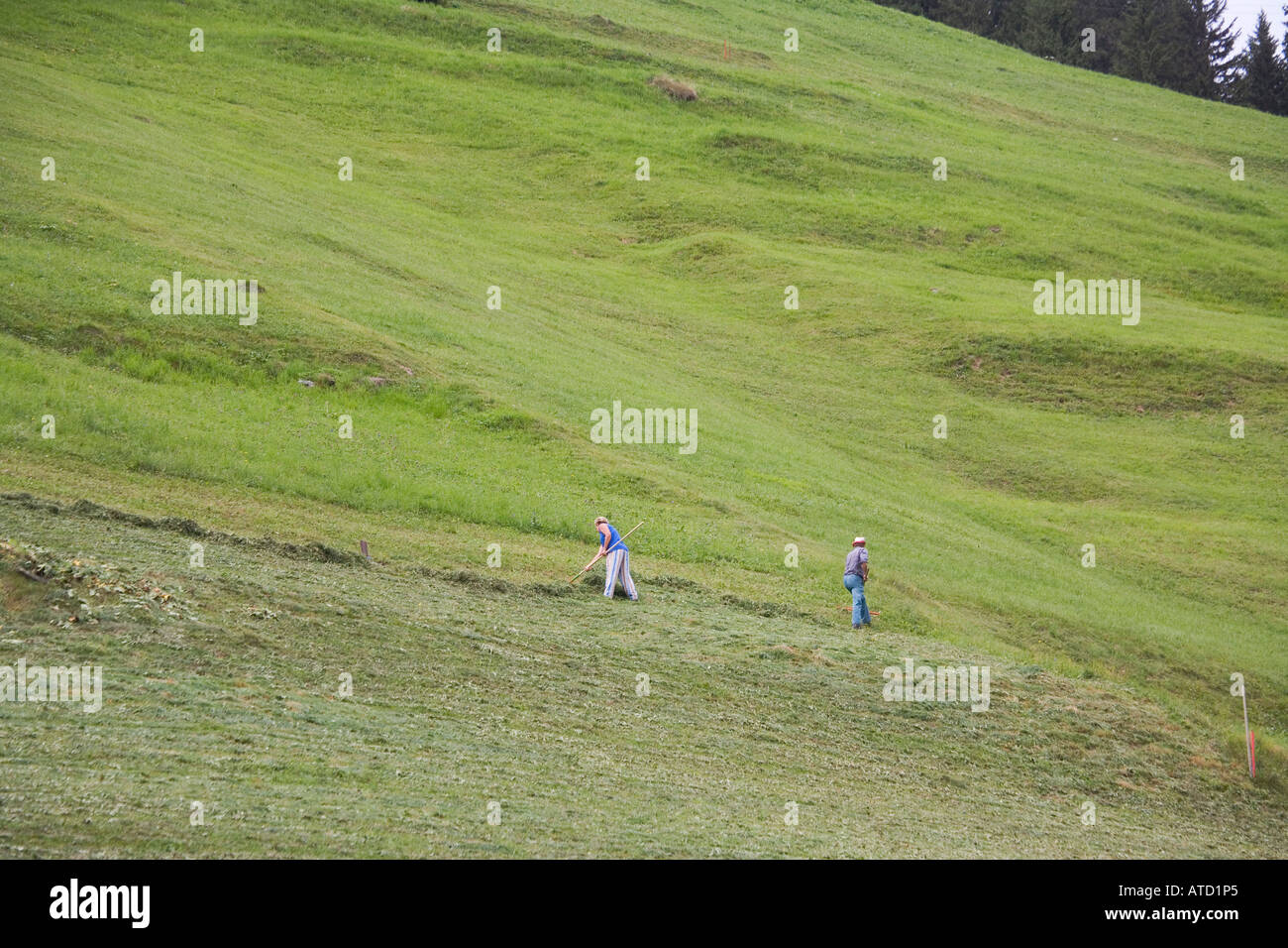 Manual haying hi-res stock photography and images - Alamy