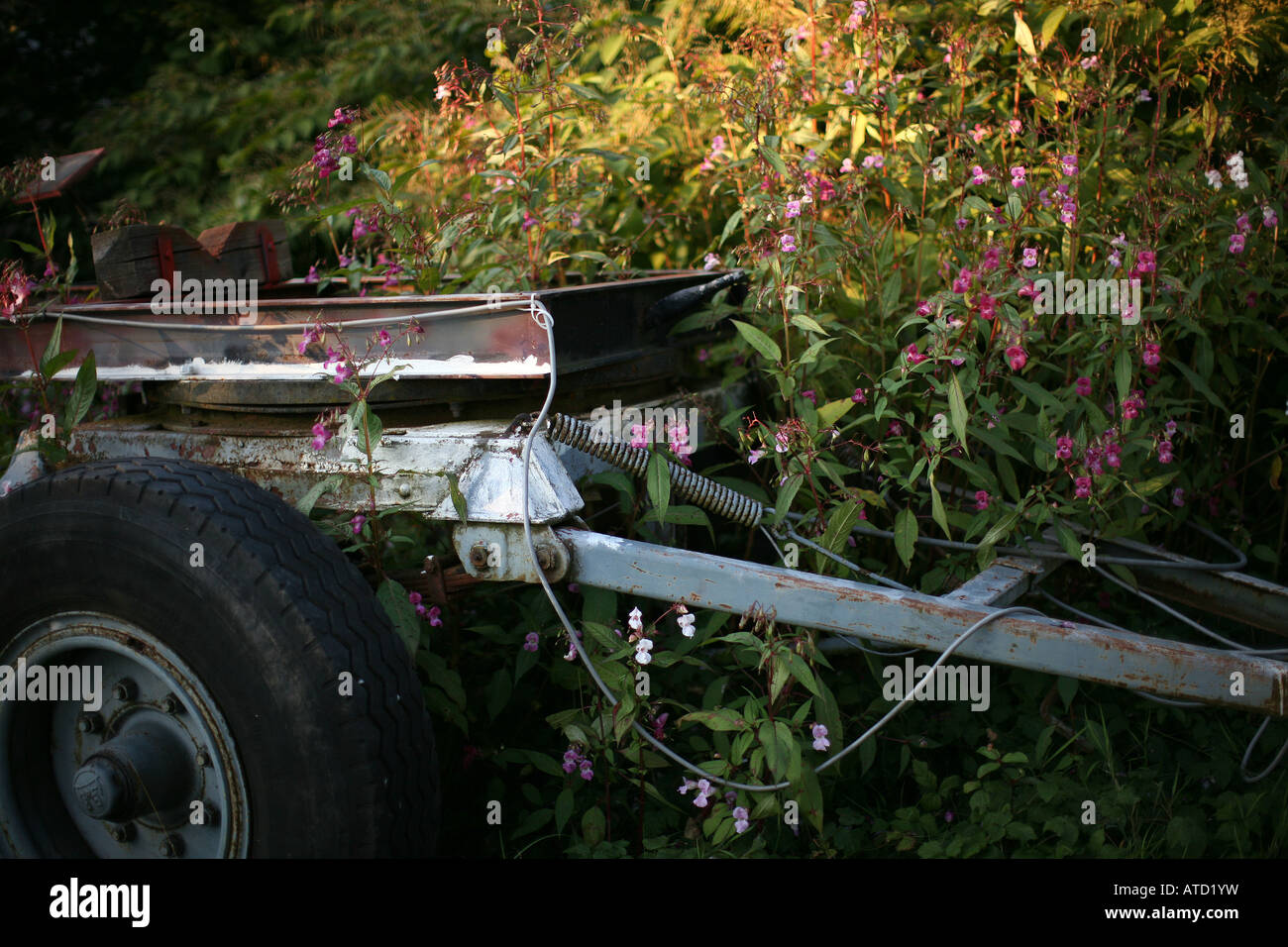 Overgrown landscapes hi-res stock photography and images - Alamy