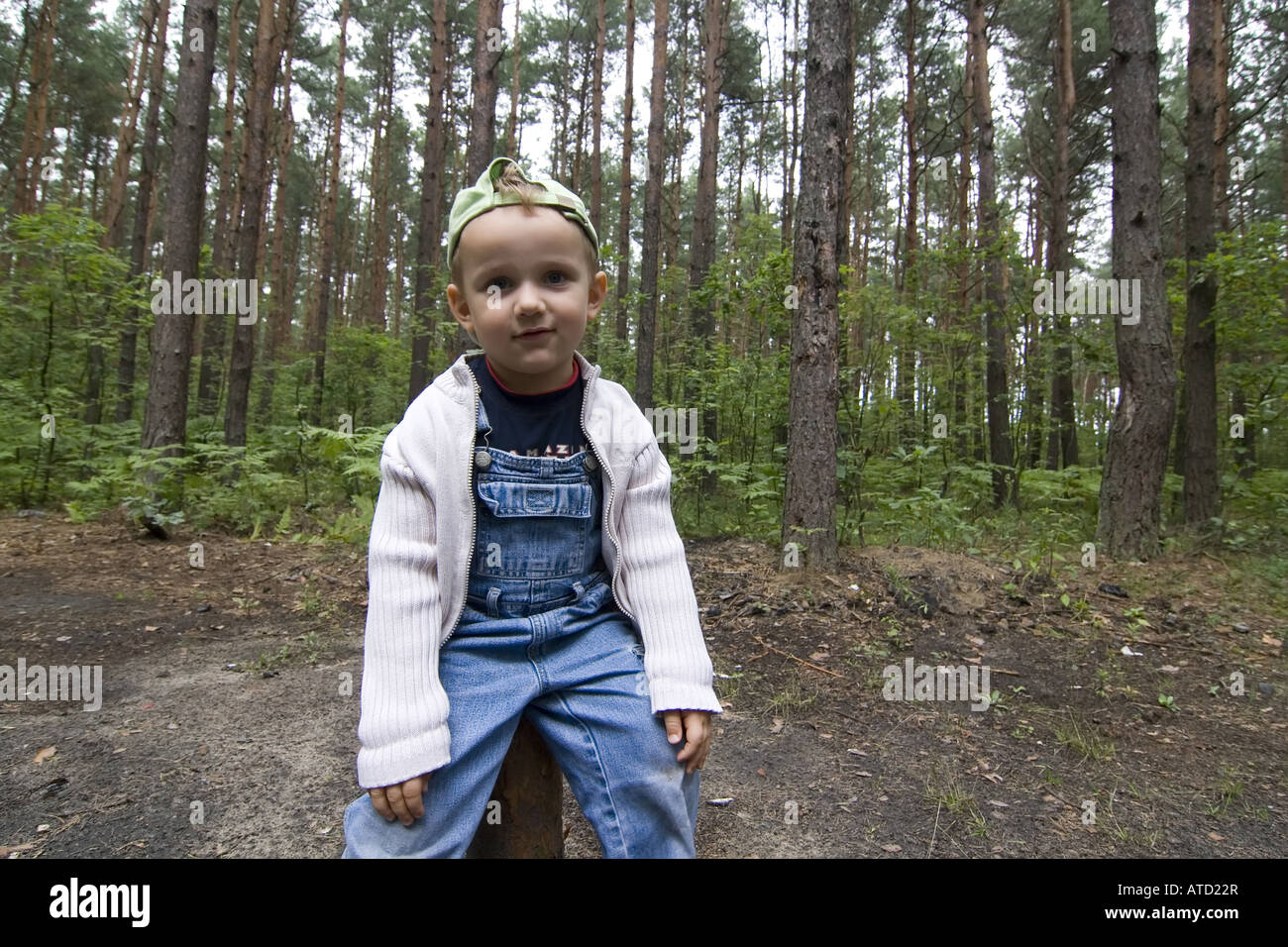 play in the forest Stock Photo - Alamy