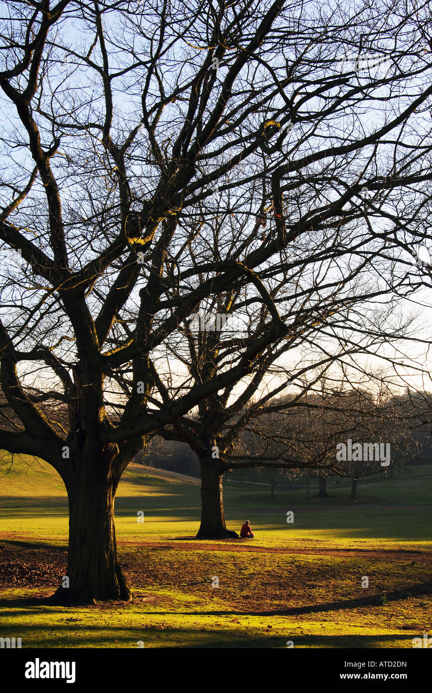 Young man relaxing in English Park in early Spring UK Stock Photo - Alamy