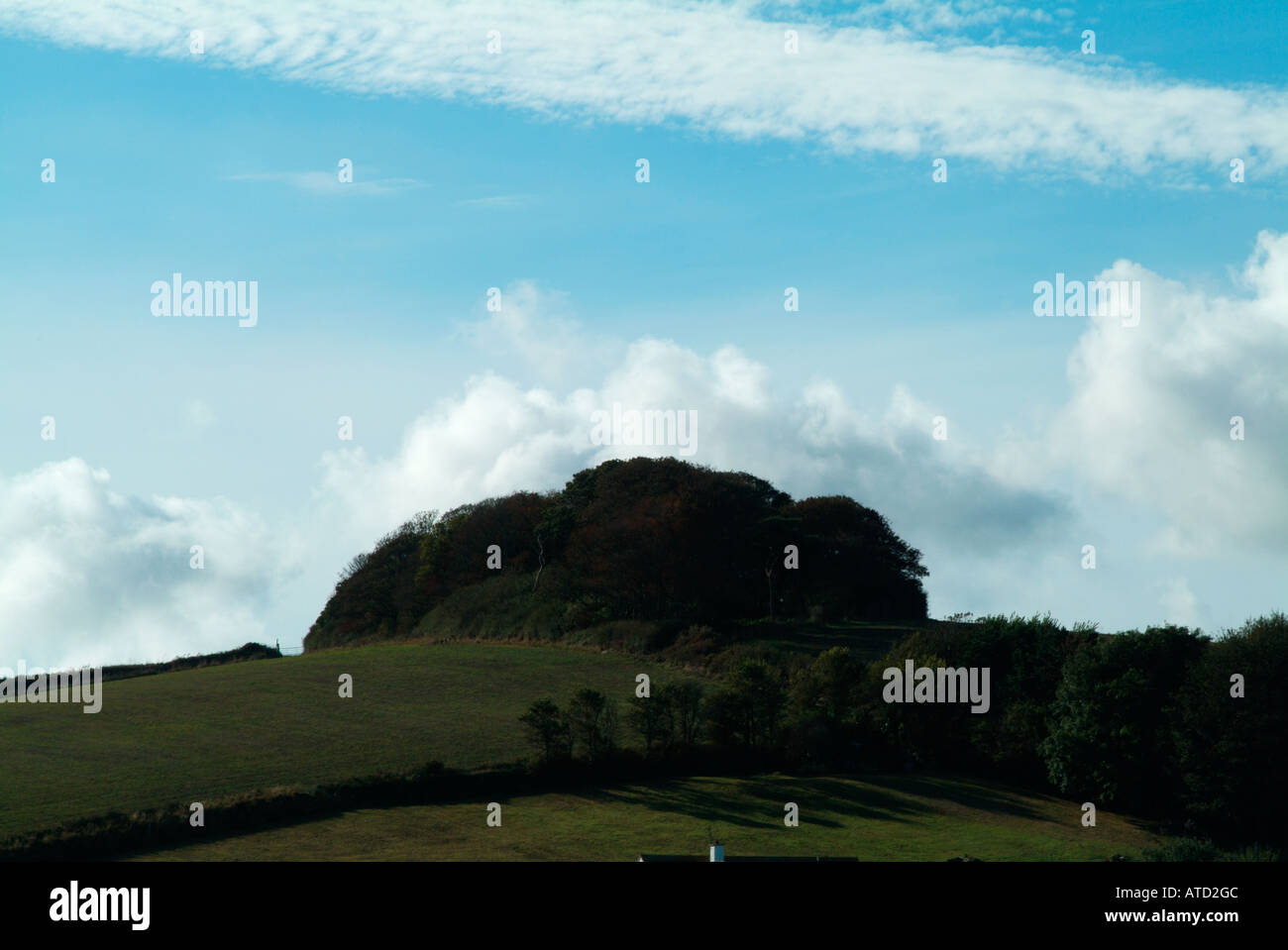 Slapton field hi-res stock photography and images - Alamy