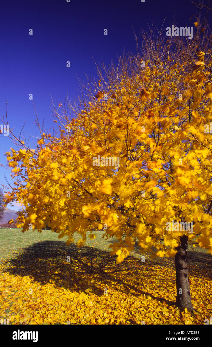 Onenature hi-res stock photography and images - Alamy