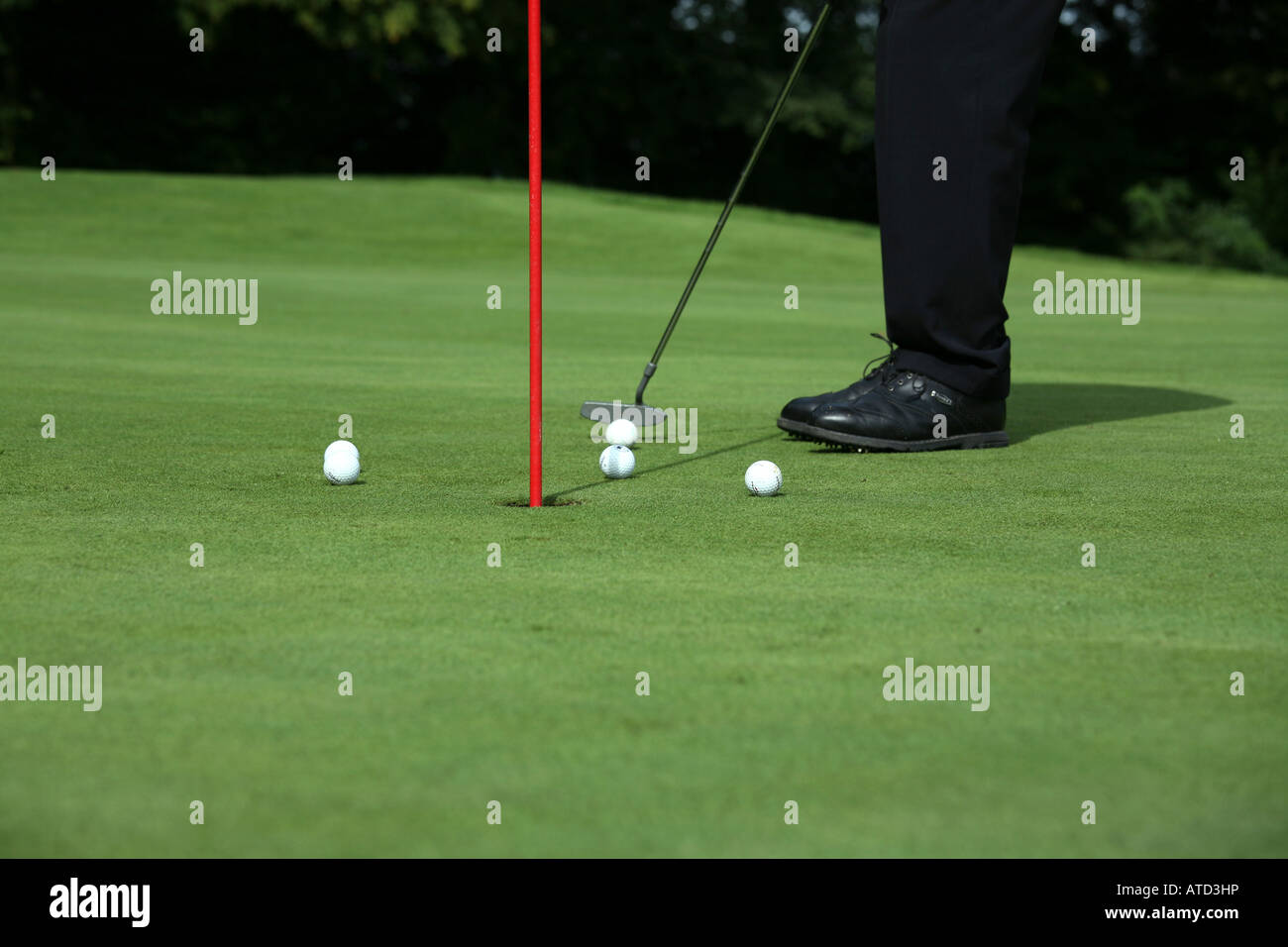 Golf player at golf course Stock Photo - Alamy