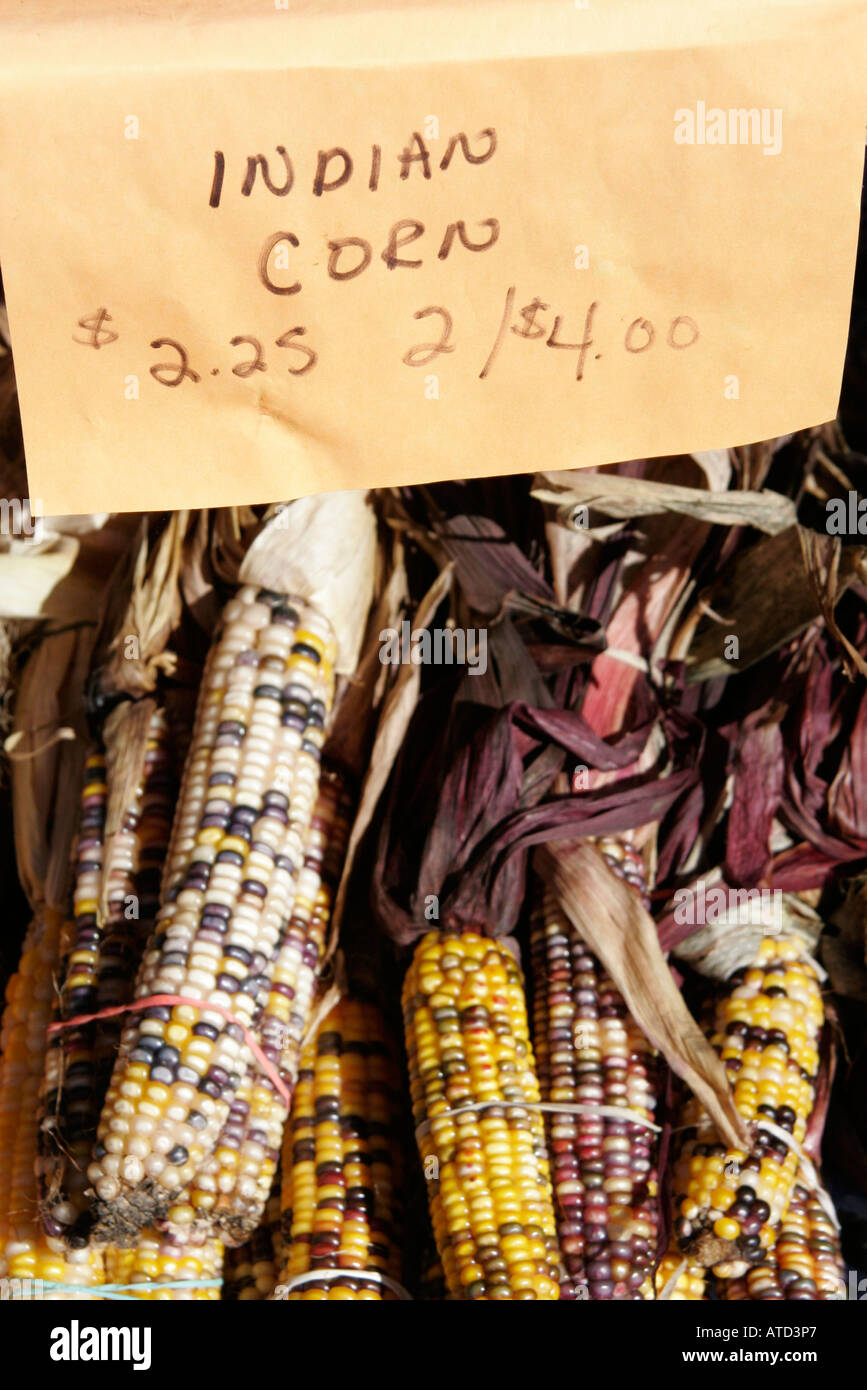 Indiana Chesterton,European Market,vendor vendors seller,stall stalls ...