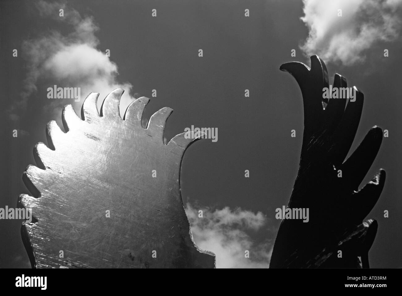 Winged rabbit hi-res stock photography and images - Alamy