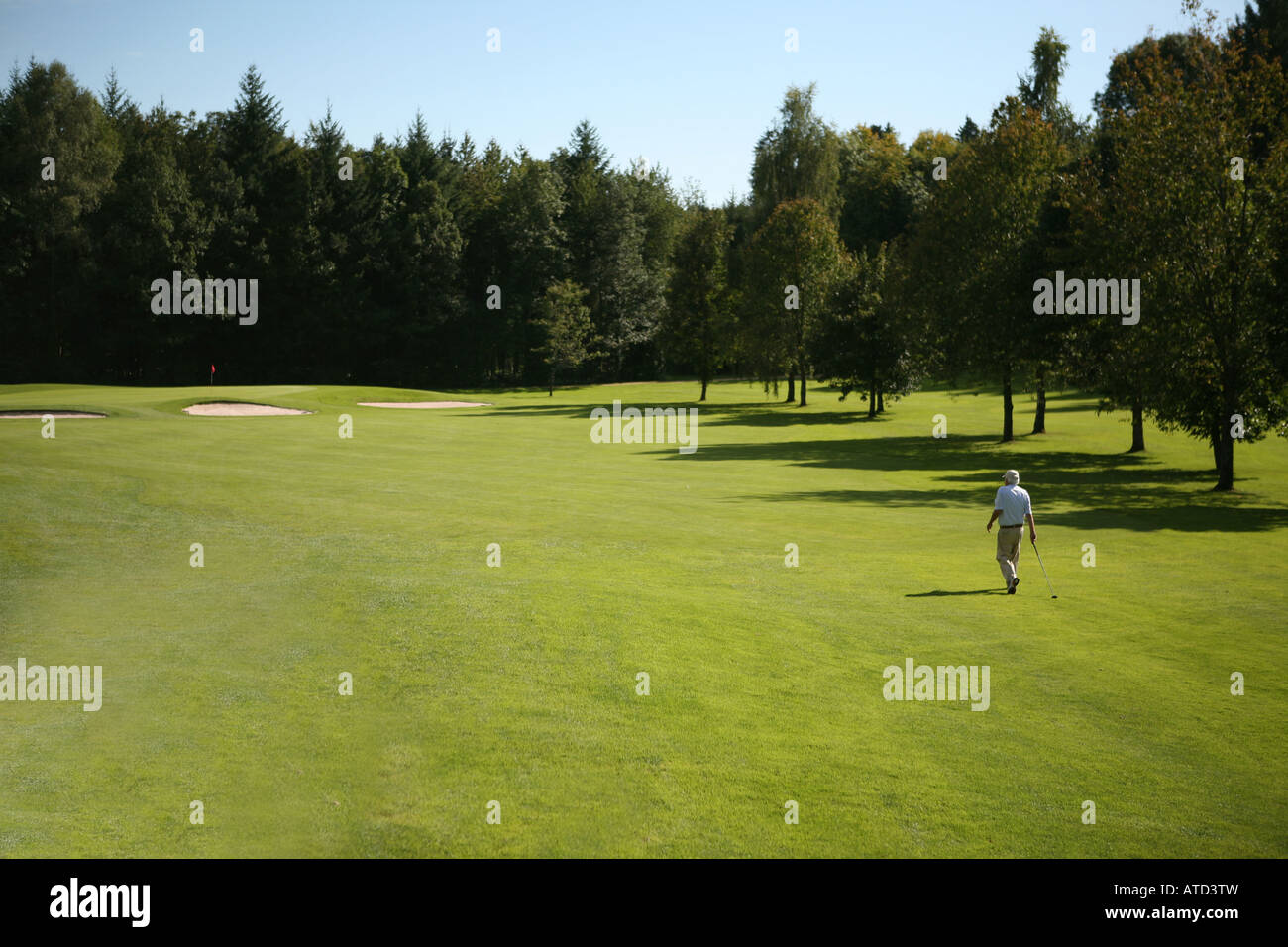 Golf player at golf course Stock Photo - Alamy