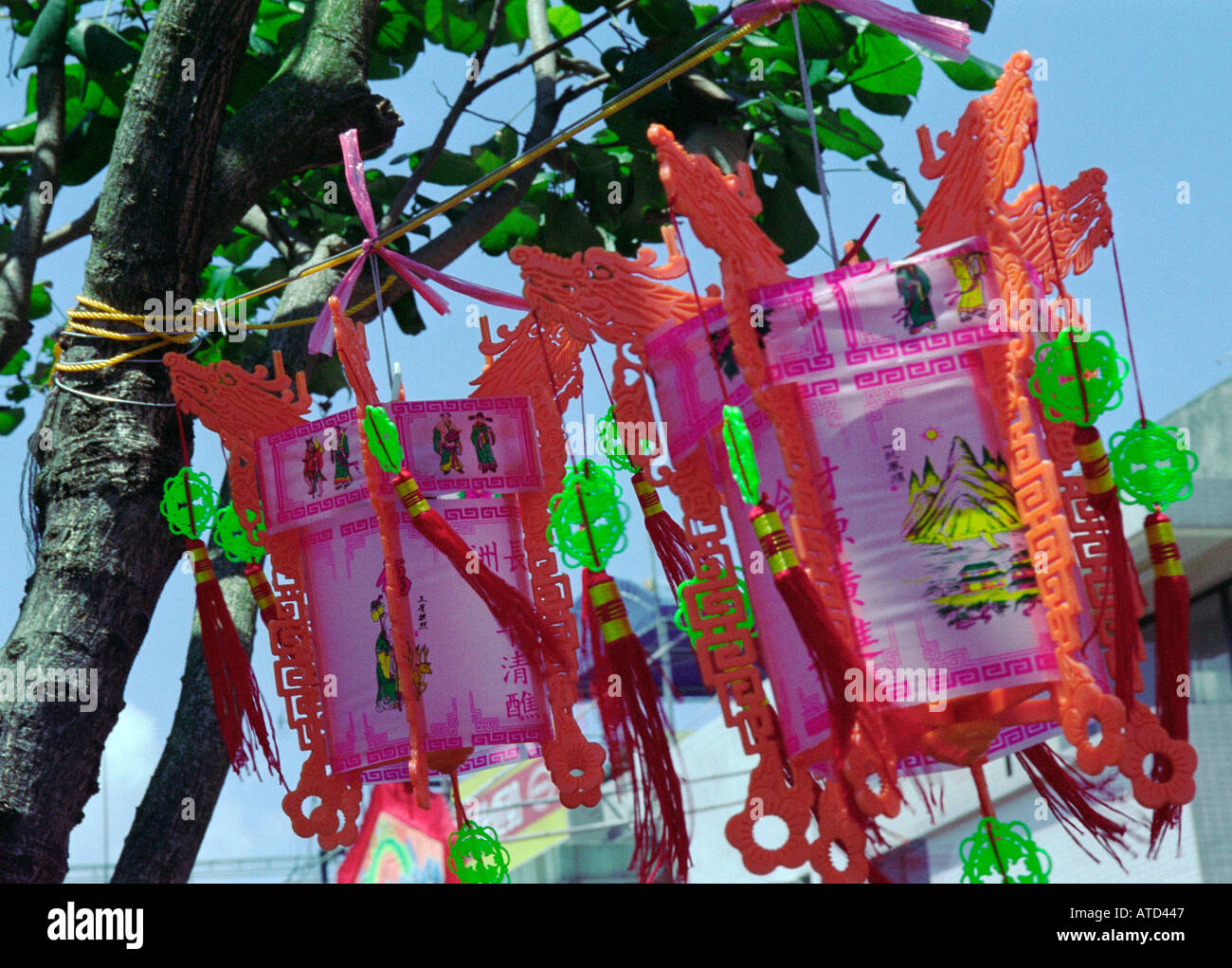 Festive chinese lanterns hanging from tree Stock Photo - Alamy