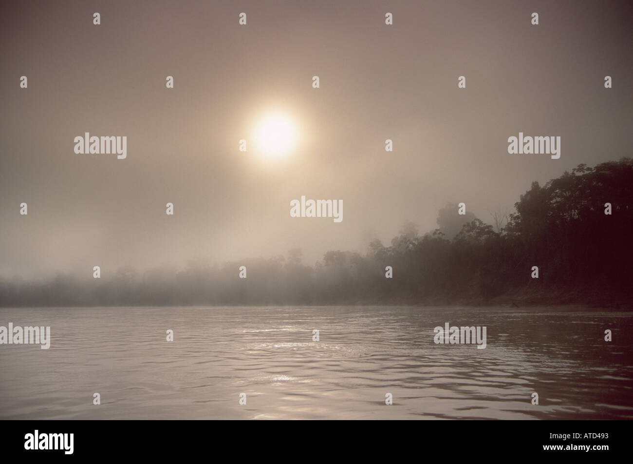 Brazil south american america photograph photo pic picture image hi-res ...