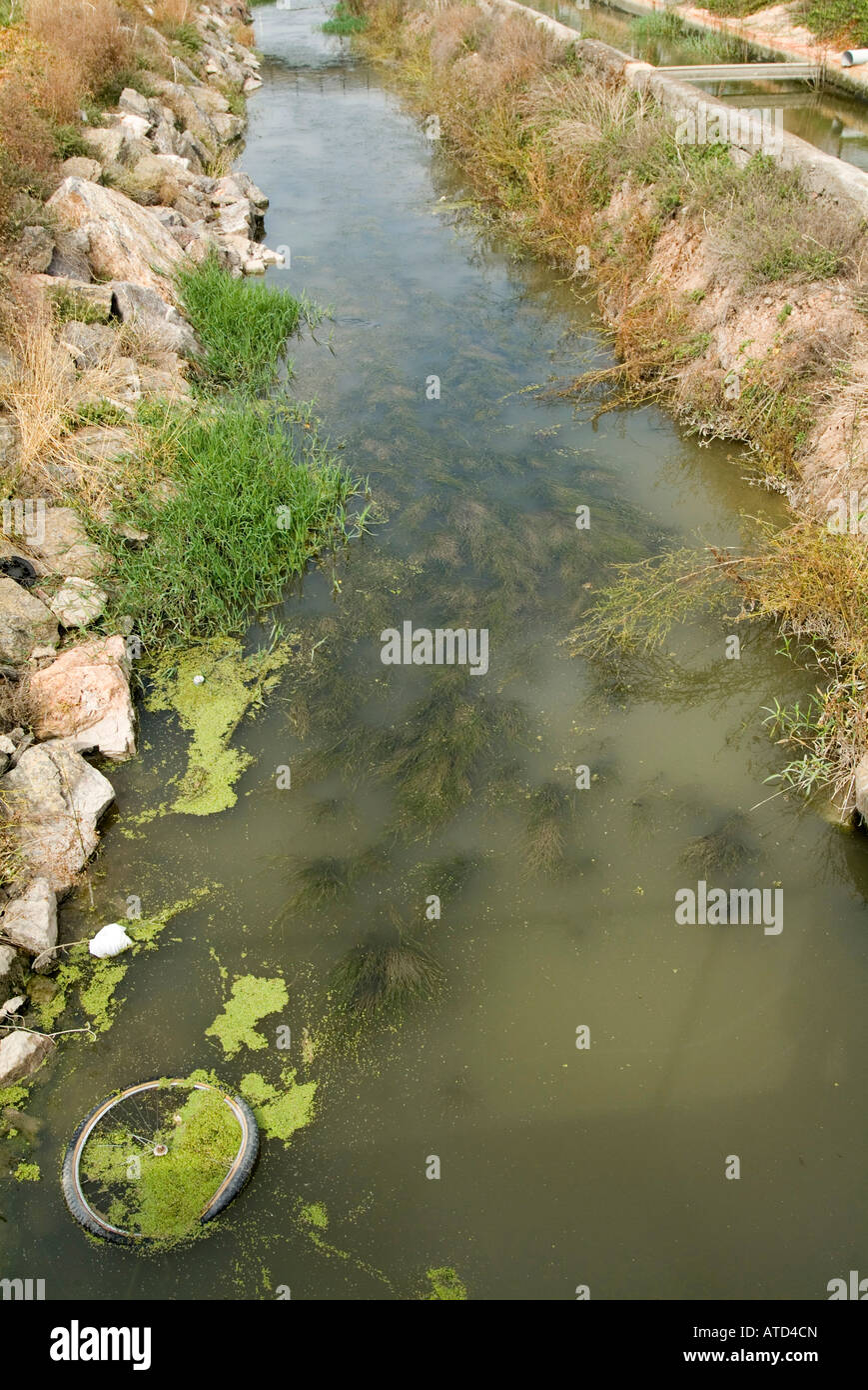 polluted irrigation canal near Valencia, Spain Stock Photo - Alamy
