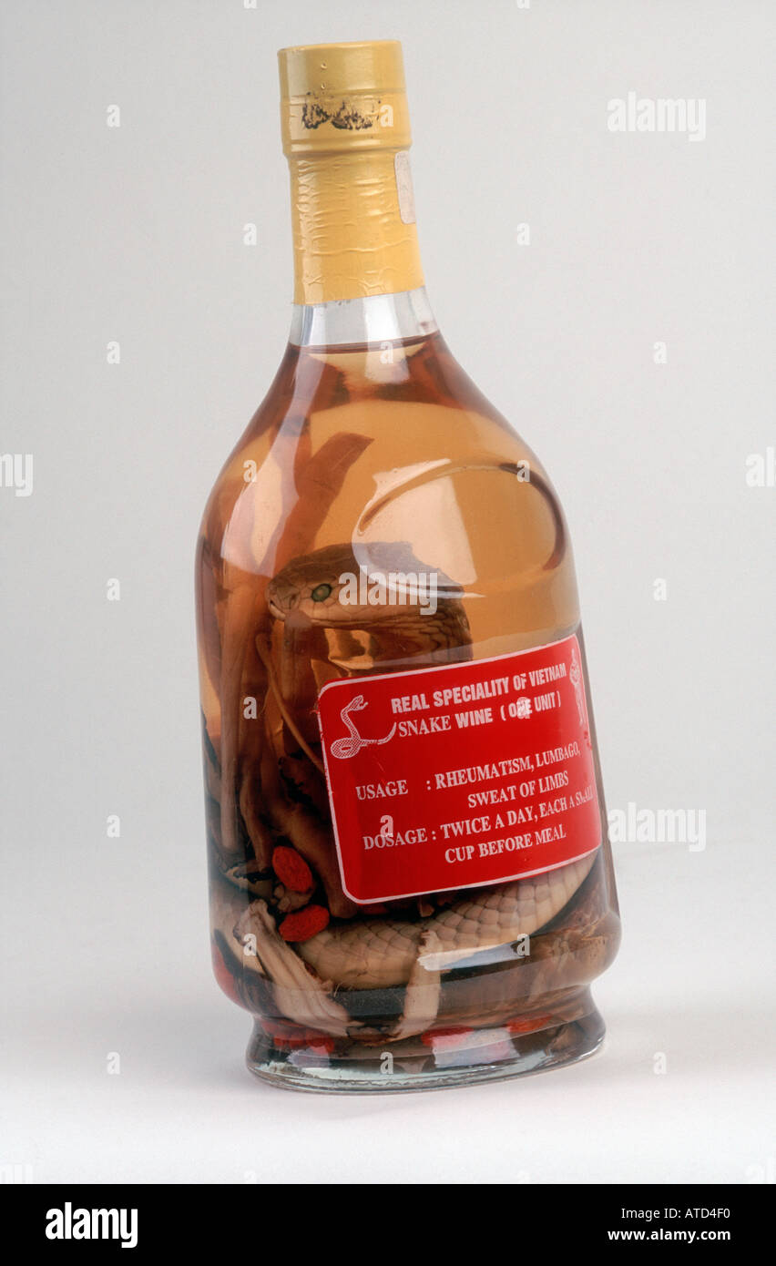 Snake wine a medicinal drink made using snakes in Vietnam Stock Photo ...
