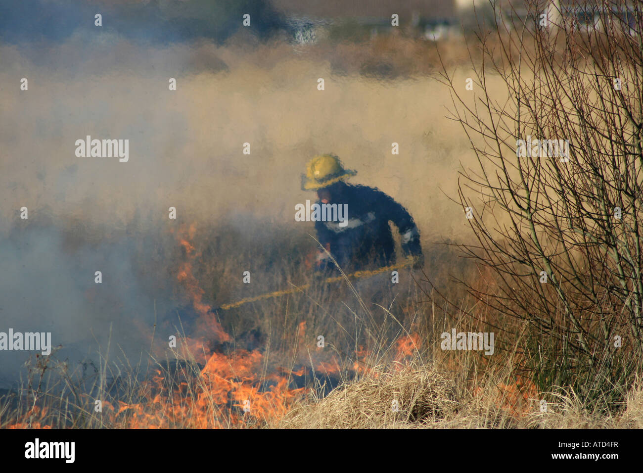 Fighting a Grass Fire Coity Common Stock Photo - Alamy