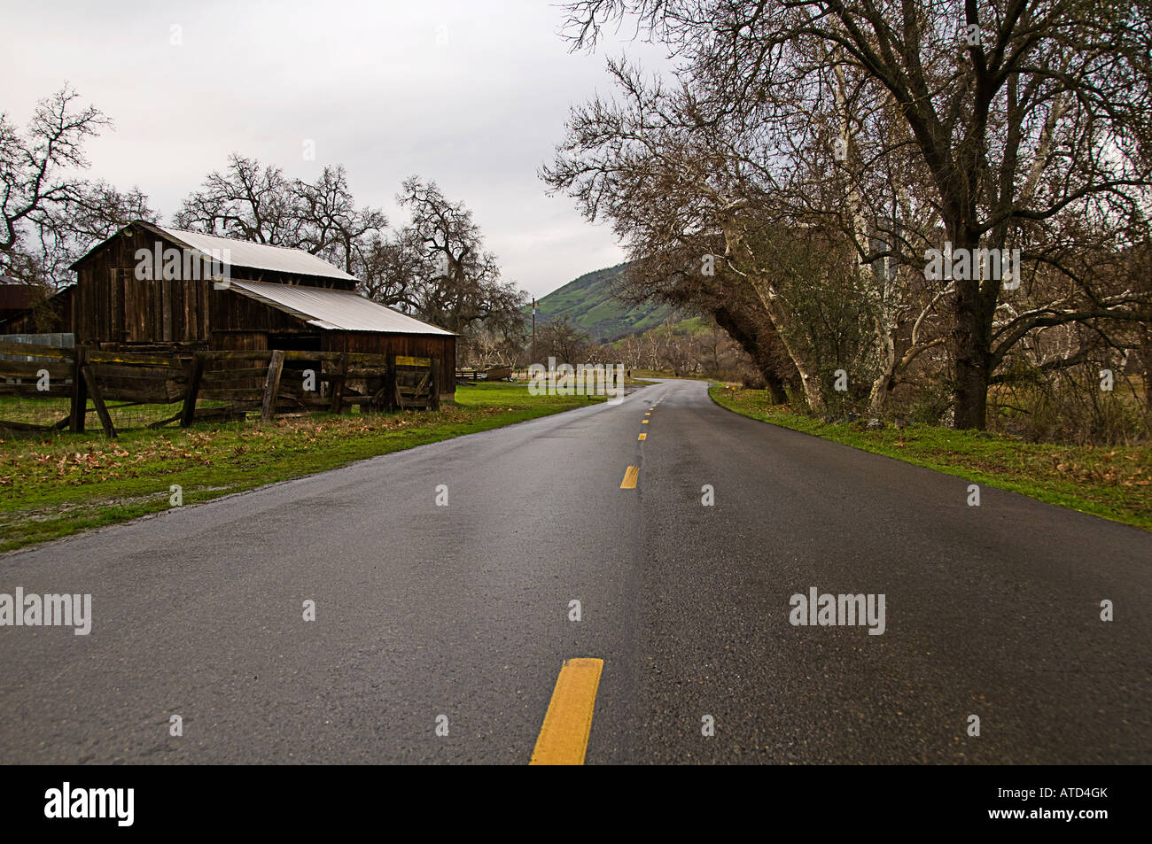 Driving Down Center Of Road Stock Photo - Alamy
