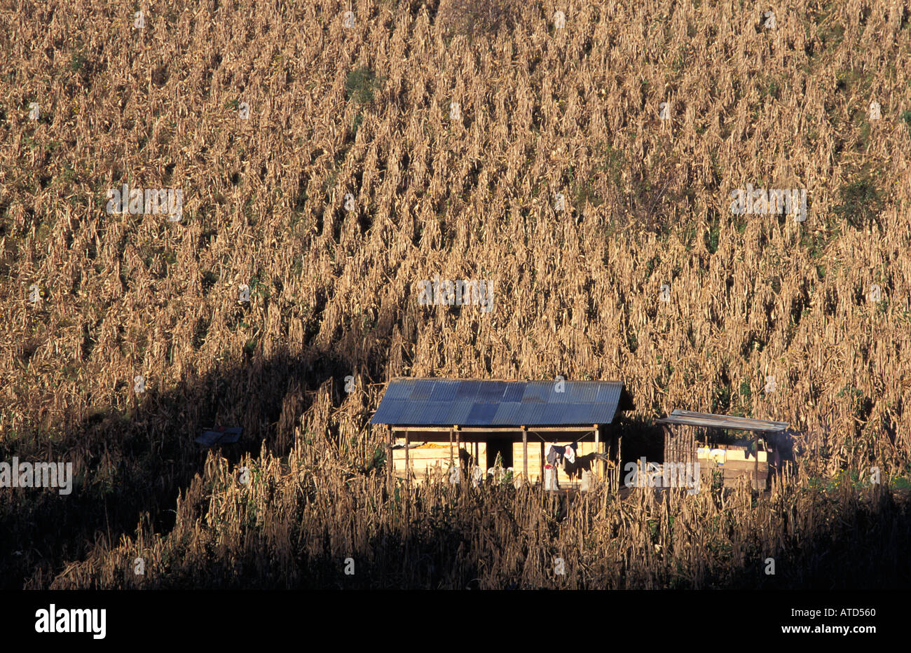 Guatemala97015 hi-res stock photography and images - Alamy