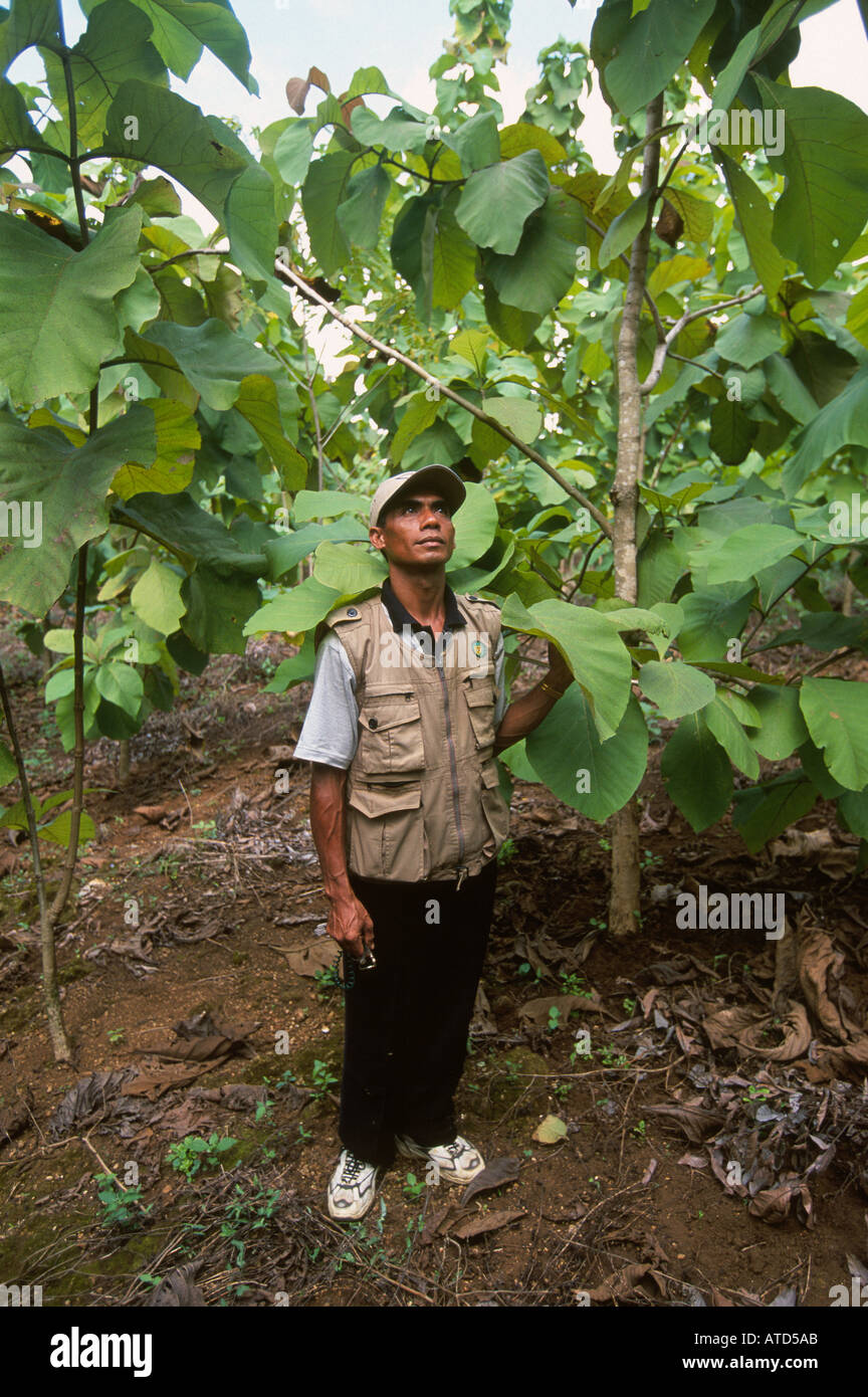 Muna island indonesia hi-res stock photography and images - Alamy
