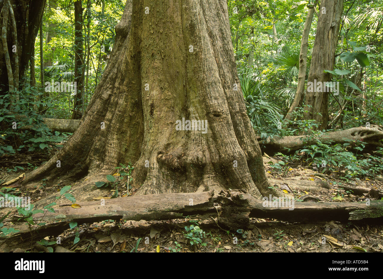 Muna island indonesia hi-res stock photography and images - Alamy