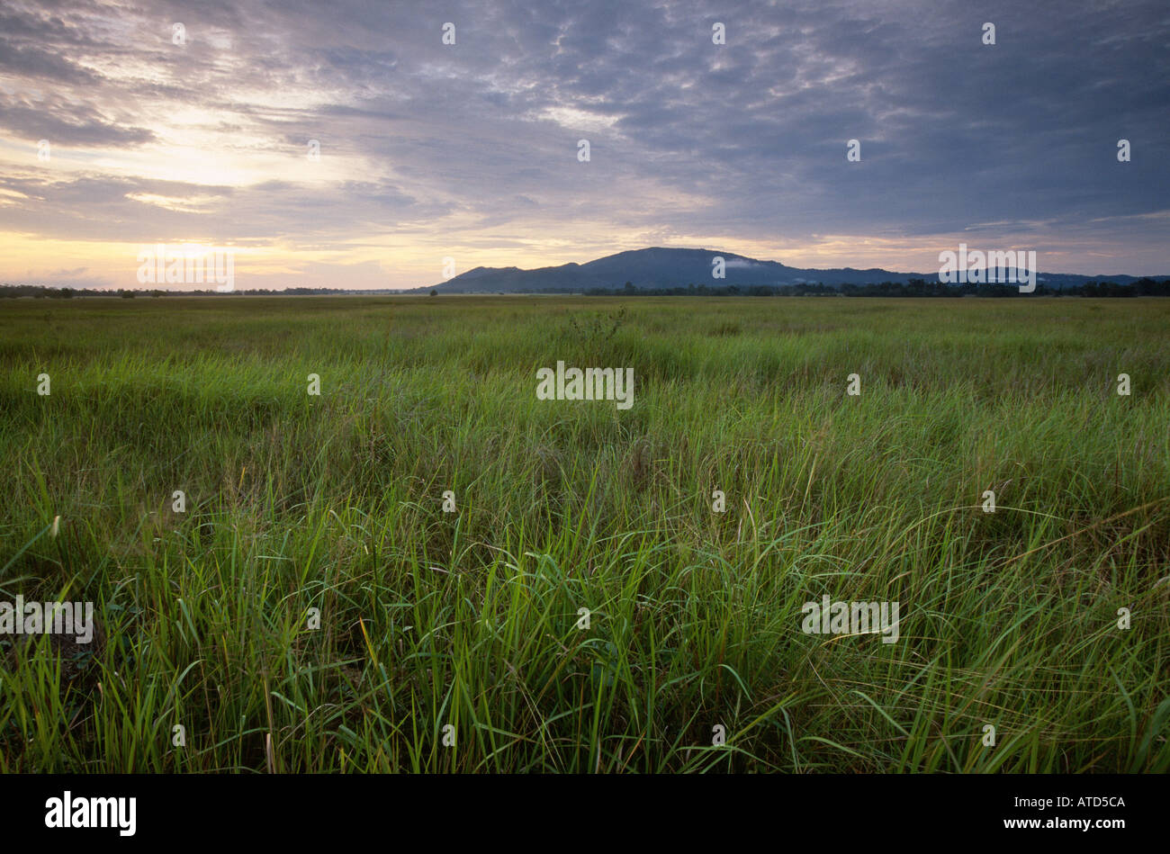 The swamps and grasslands of the Rawa Aopa Watumohai National Park is ...