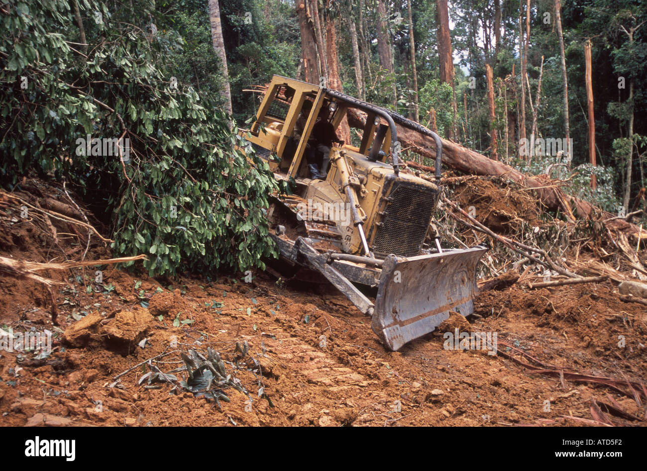 Logging bulldozer creating track through tropical rain forest in ...