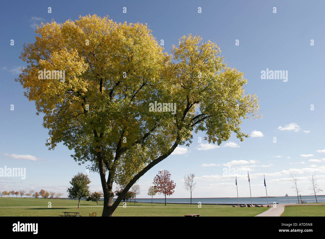 Changing leaf colors hi-res stock photography and images - Alamy