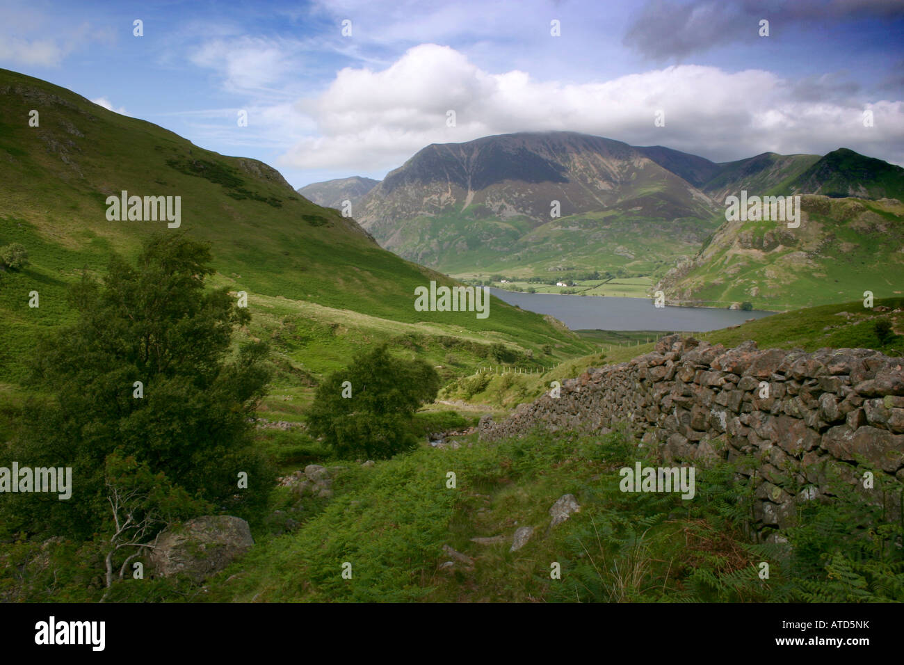 landscape view of crummock water lake and grasmoor mountain near ...
