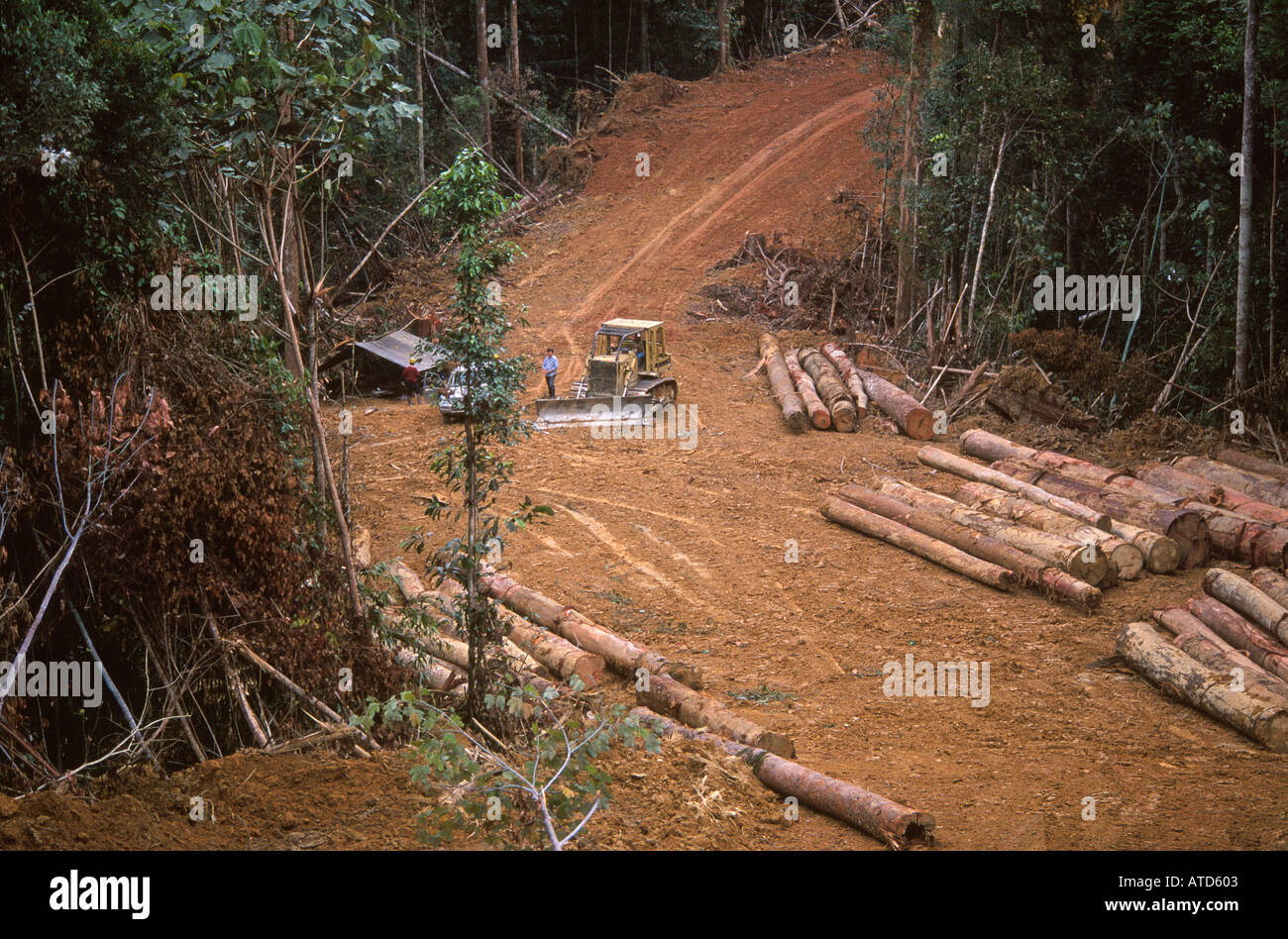 Logging road through tropical rainforest in Central Kalimantan near ...
