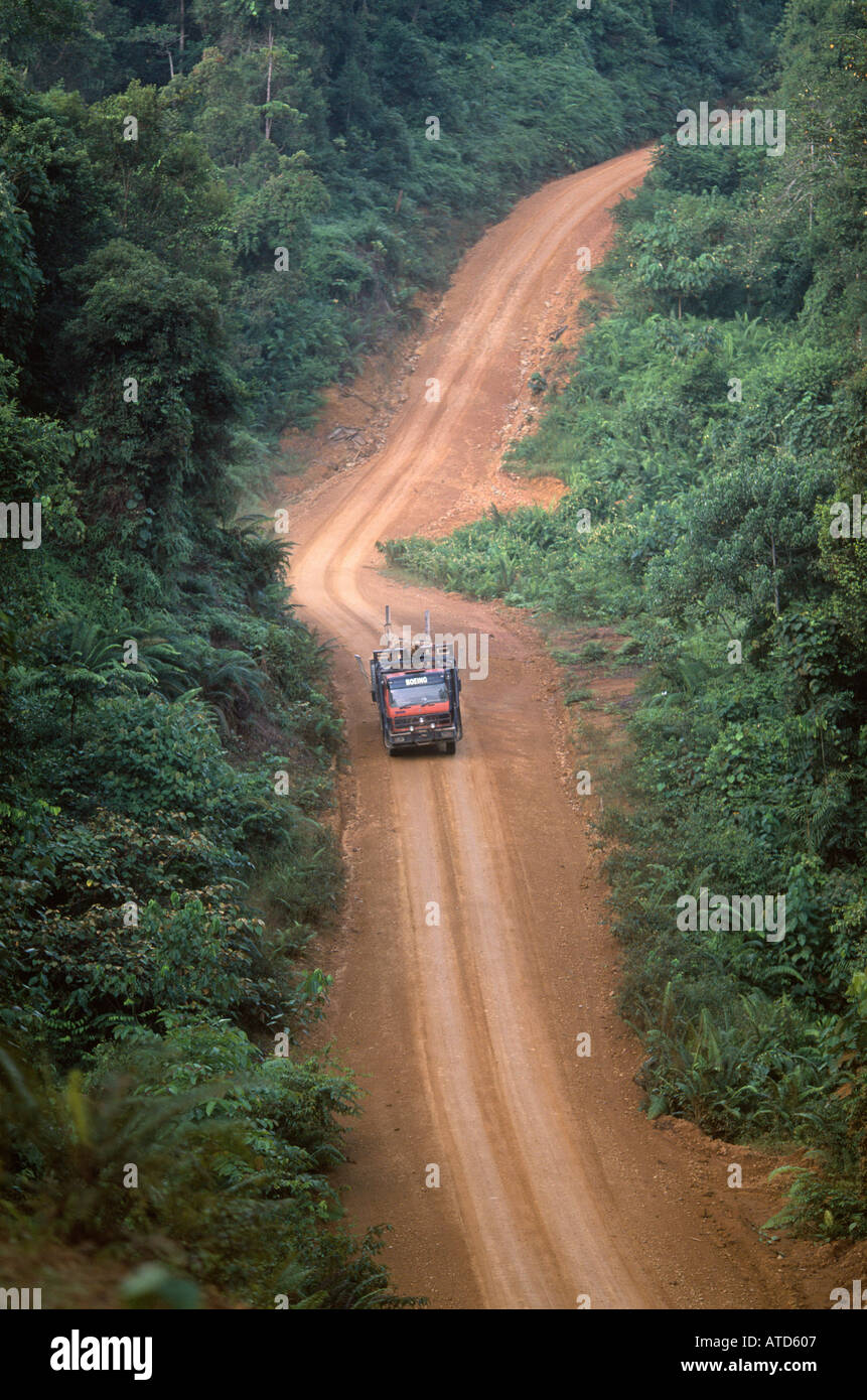 Logging road through tropical rainforest in Central Kalimantan near ...