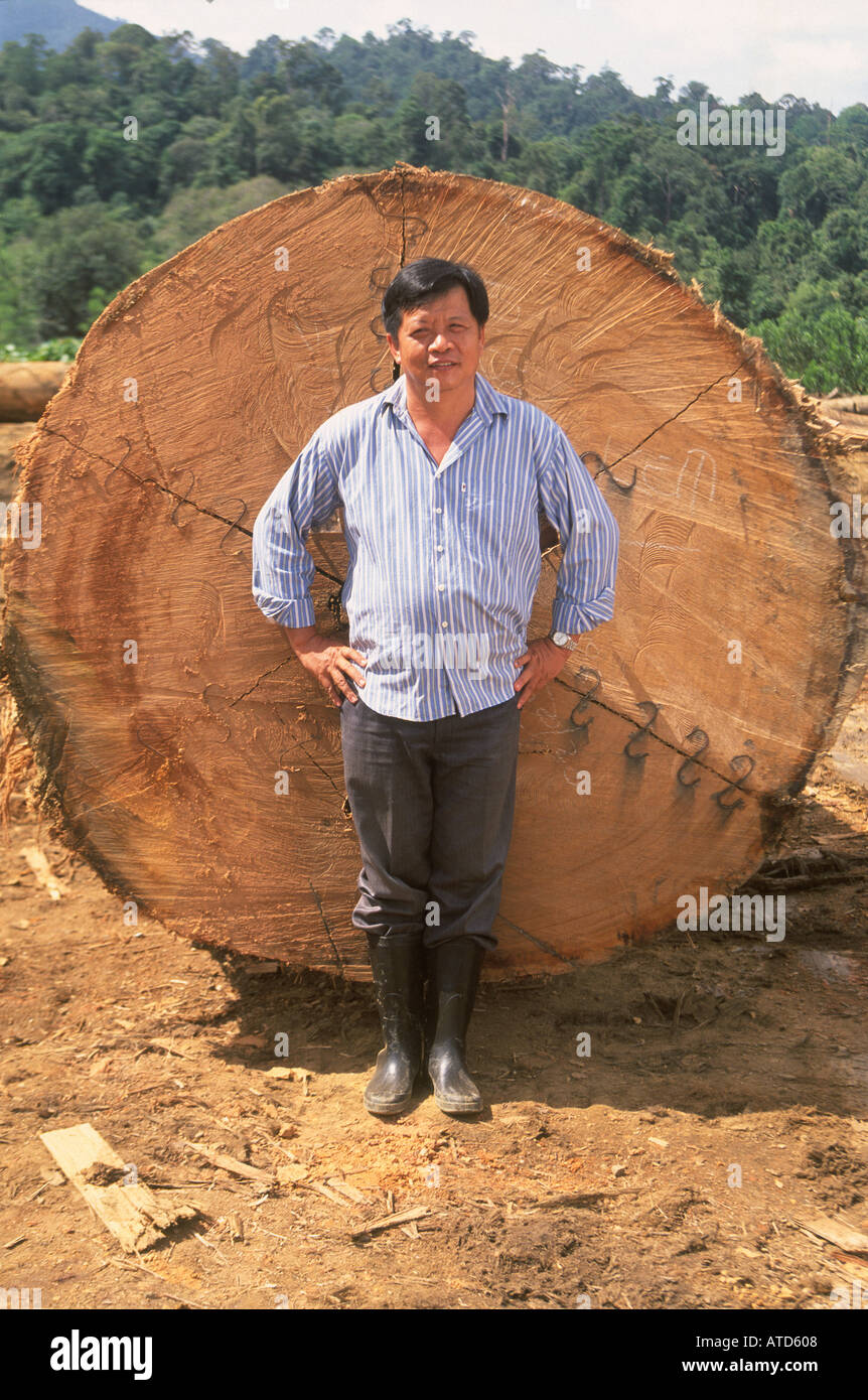 Forester stands in front of large felled tree in log pond tropical ...