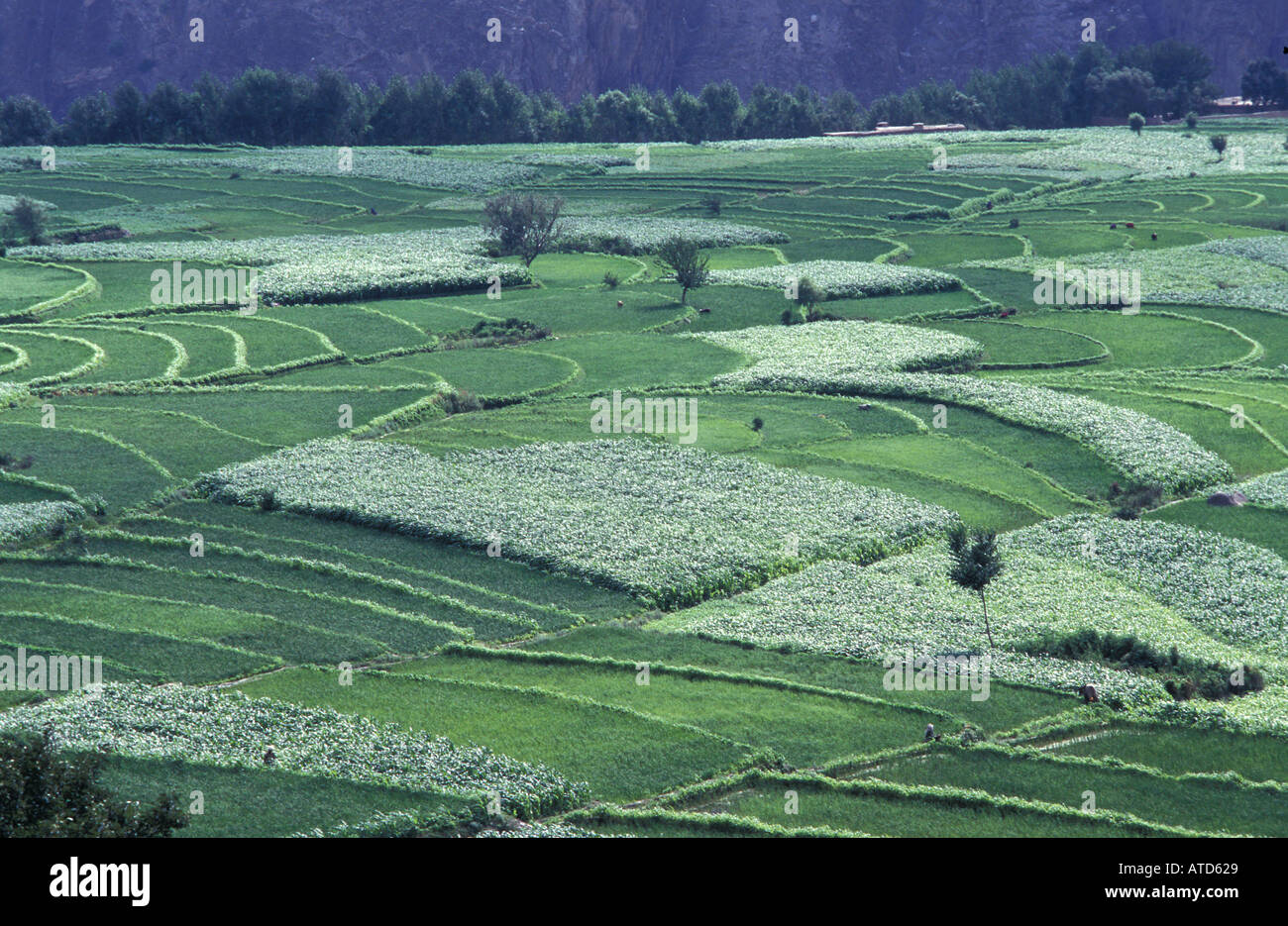 Pakistan swat valley mingora swat hi-res stock photography and images ...