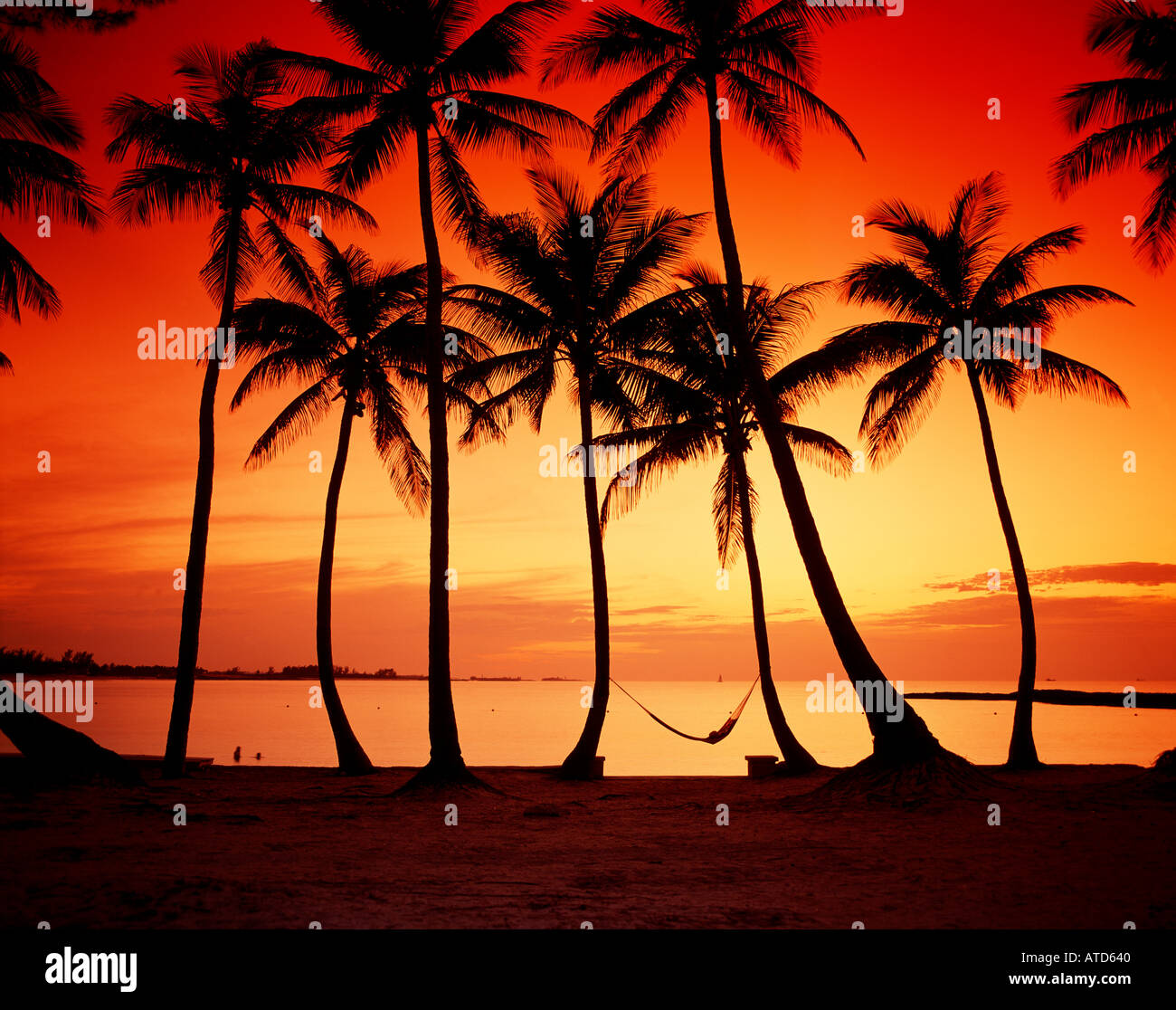 Fiery palm hi-res stock photography and images - Alamy